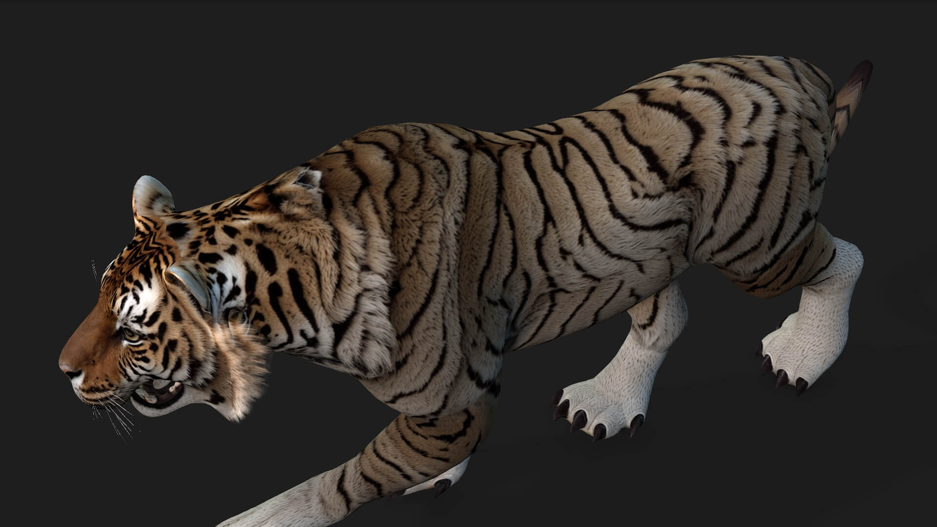 Tiger A3 Animated - 3D Model by Animated3d