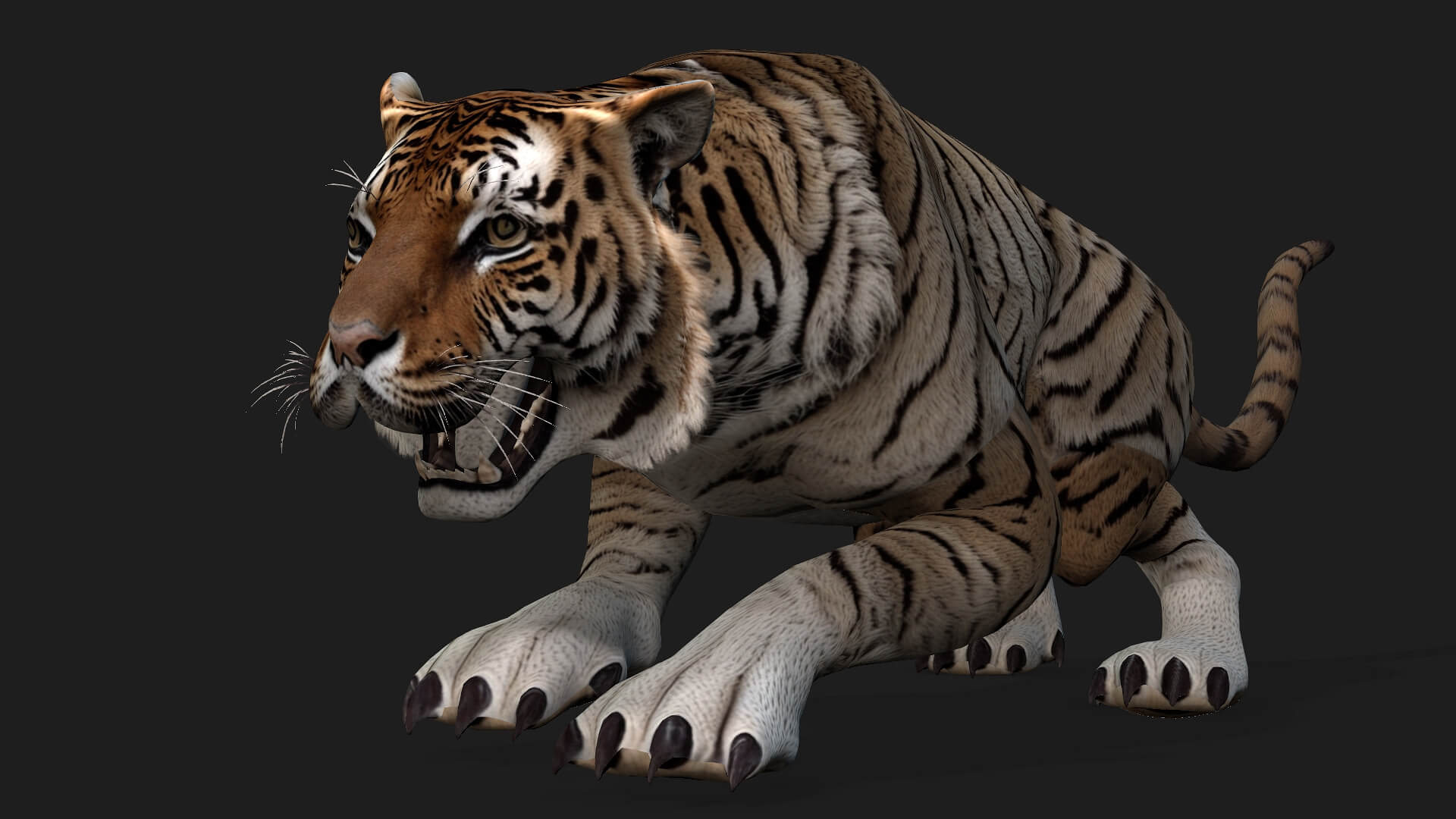 Tiger A3 Animated - 3D Model by Animated3d