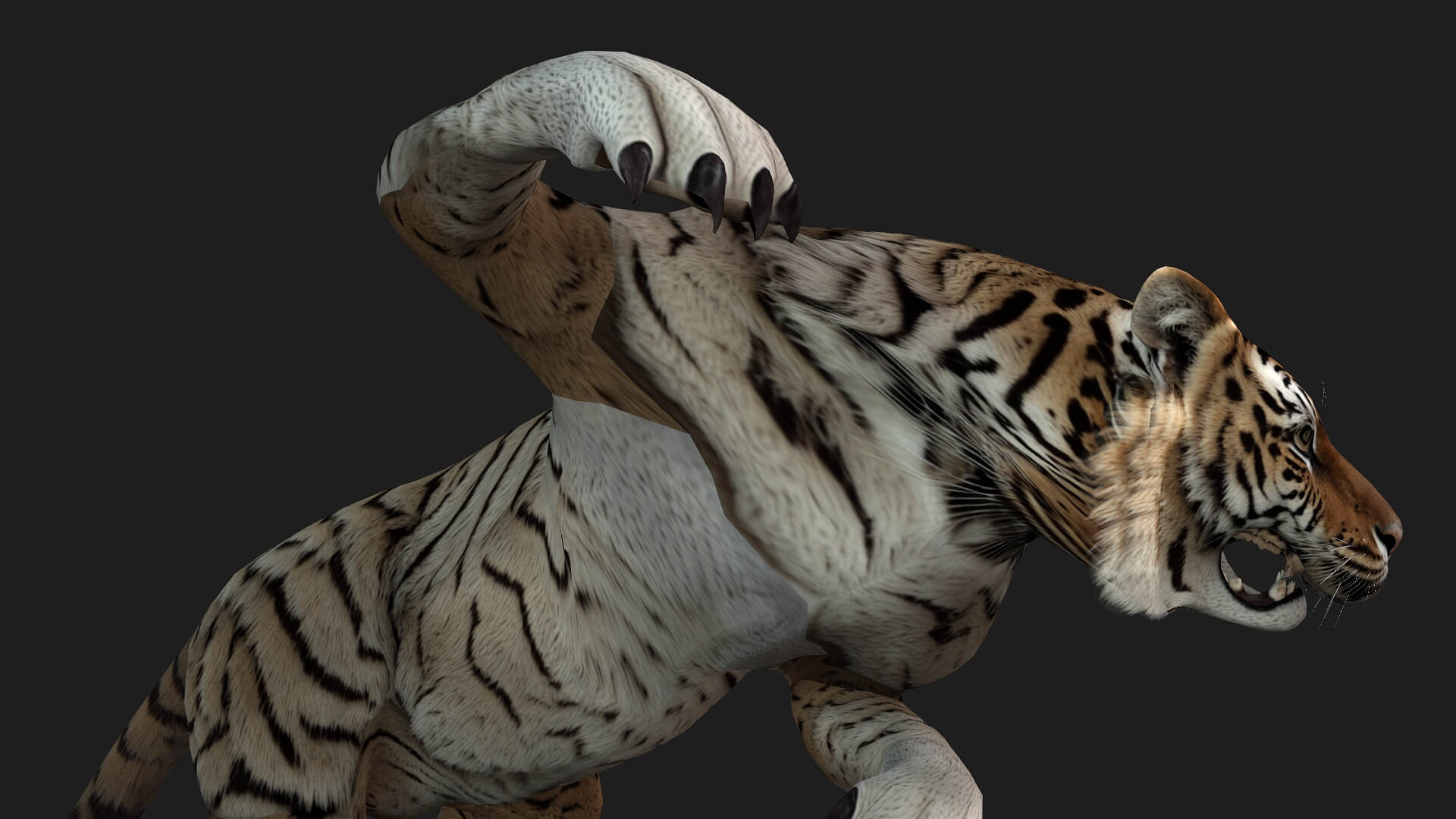 Tiger A3 Animated - 3D Model by Animated3d