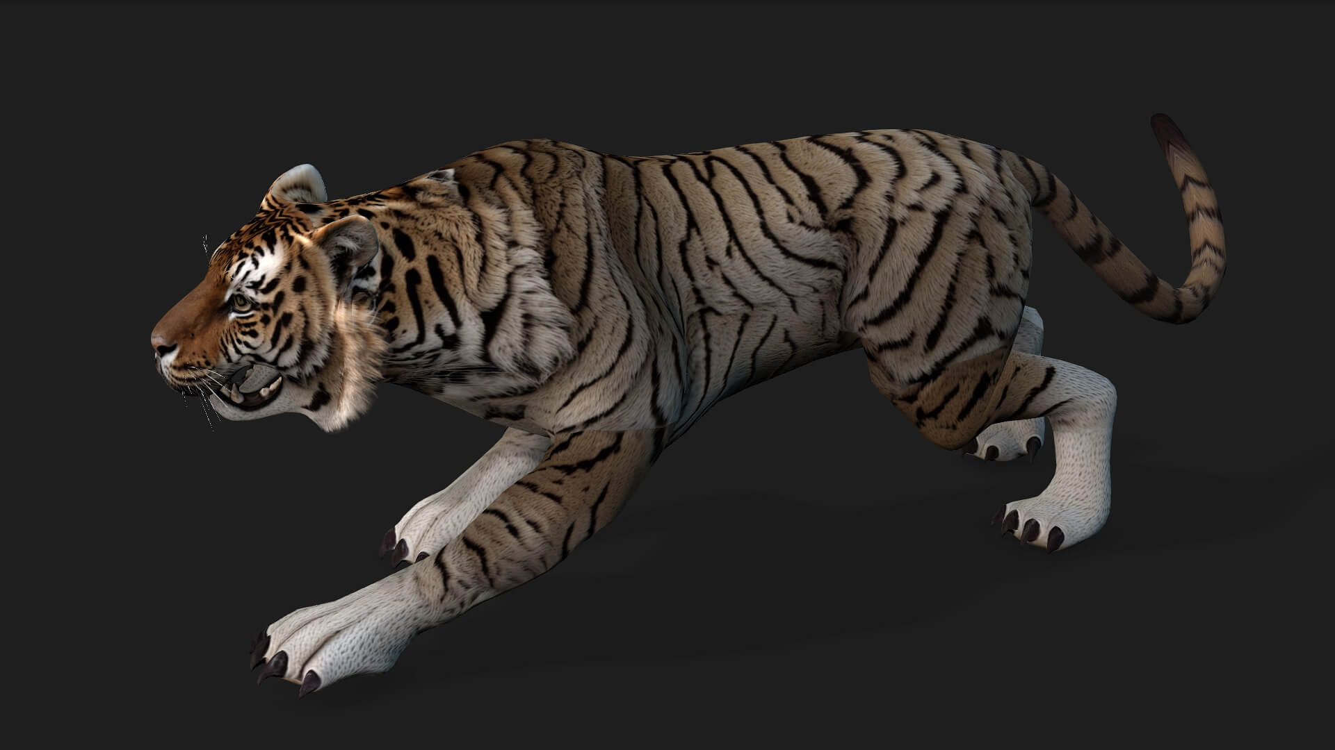 Tiger A3 Animated - 3D Model by Animated3d