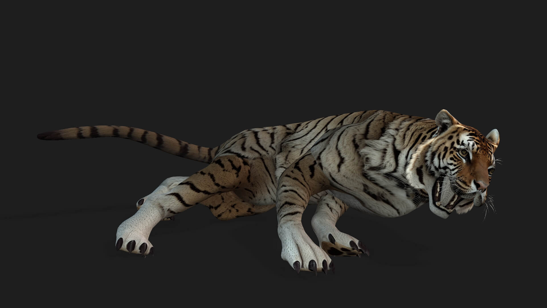 Tiger A3 Animated - 3D Model by Animated3d