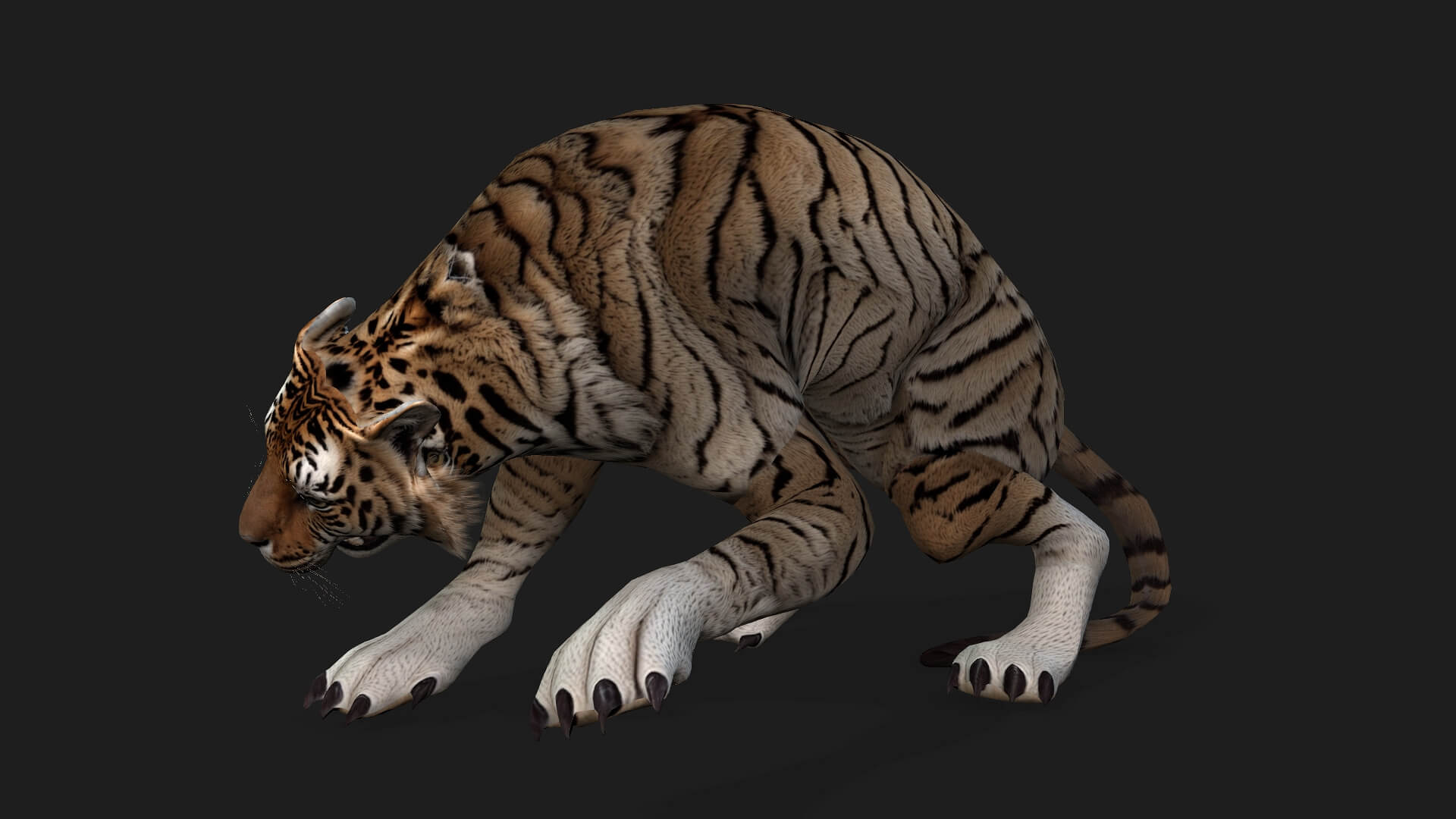 Tiger A3 Animated - 3D Model by Animated3d