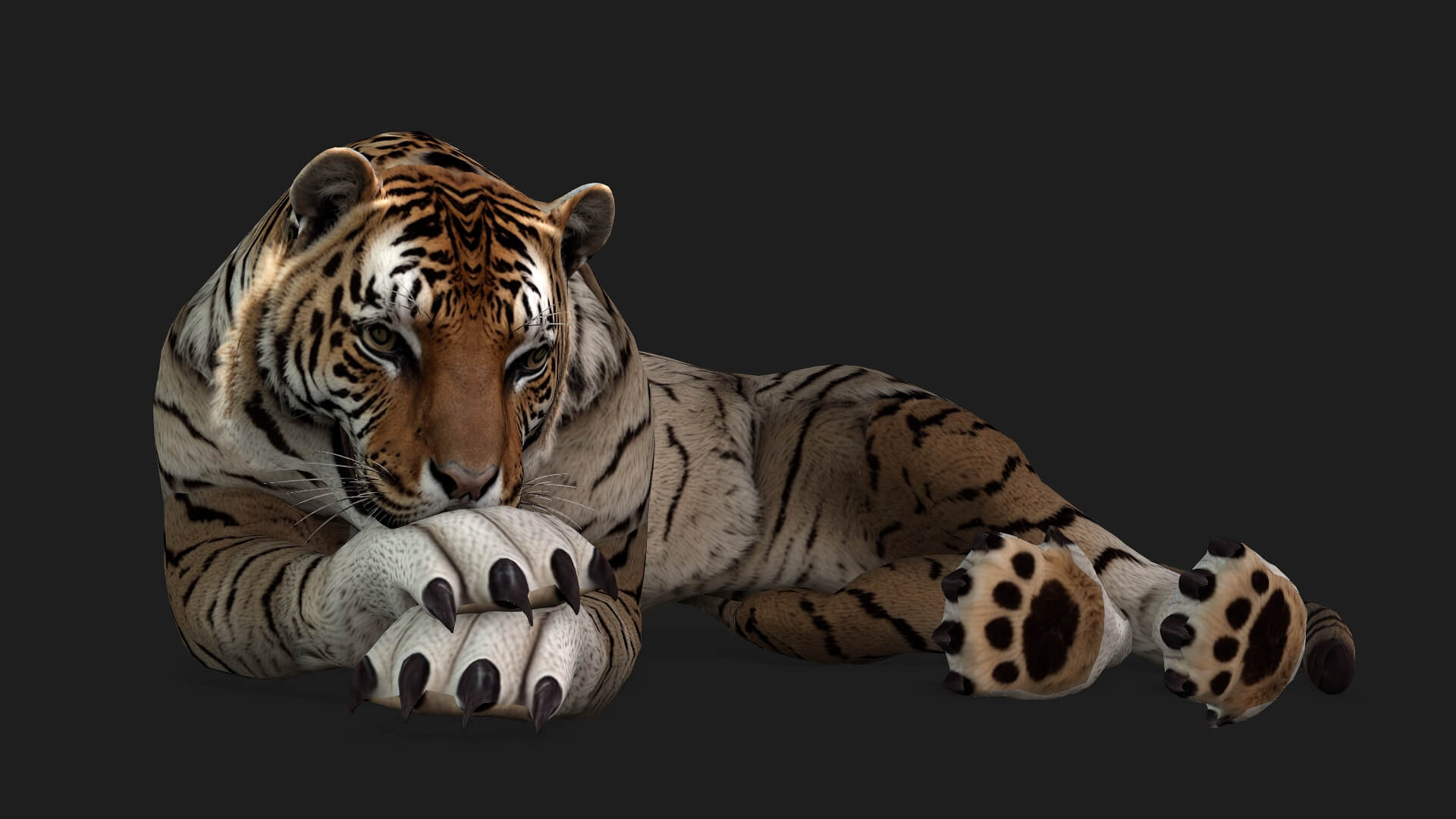 Tiger A3 Animated - 3D Model by Animated3d