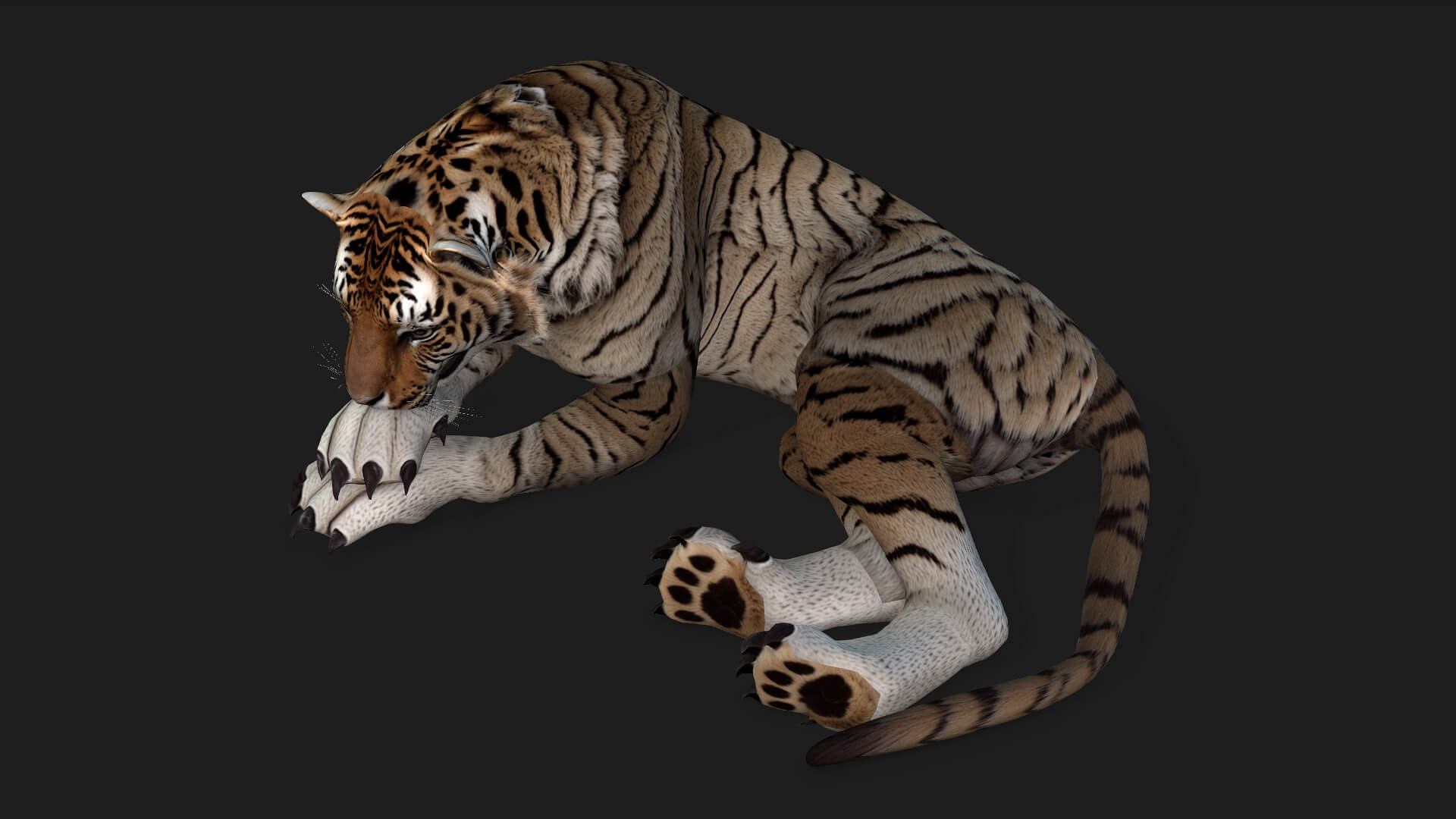 Tiger A3 Animated - 3D Model by Animated3d