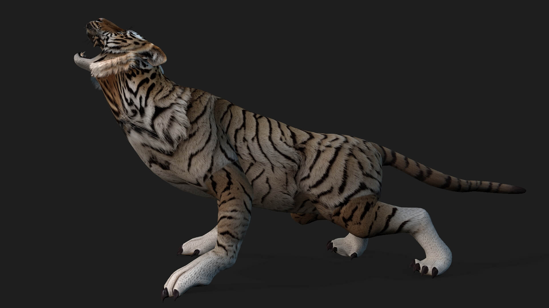 Tiger A3 Animated - 3D Model by Animated3d