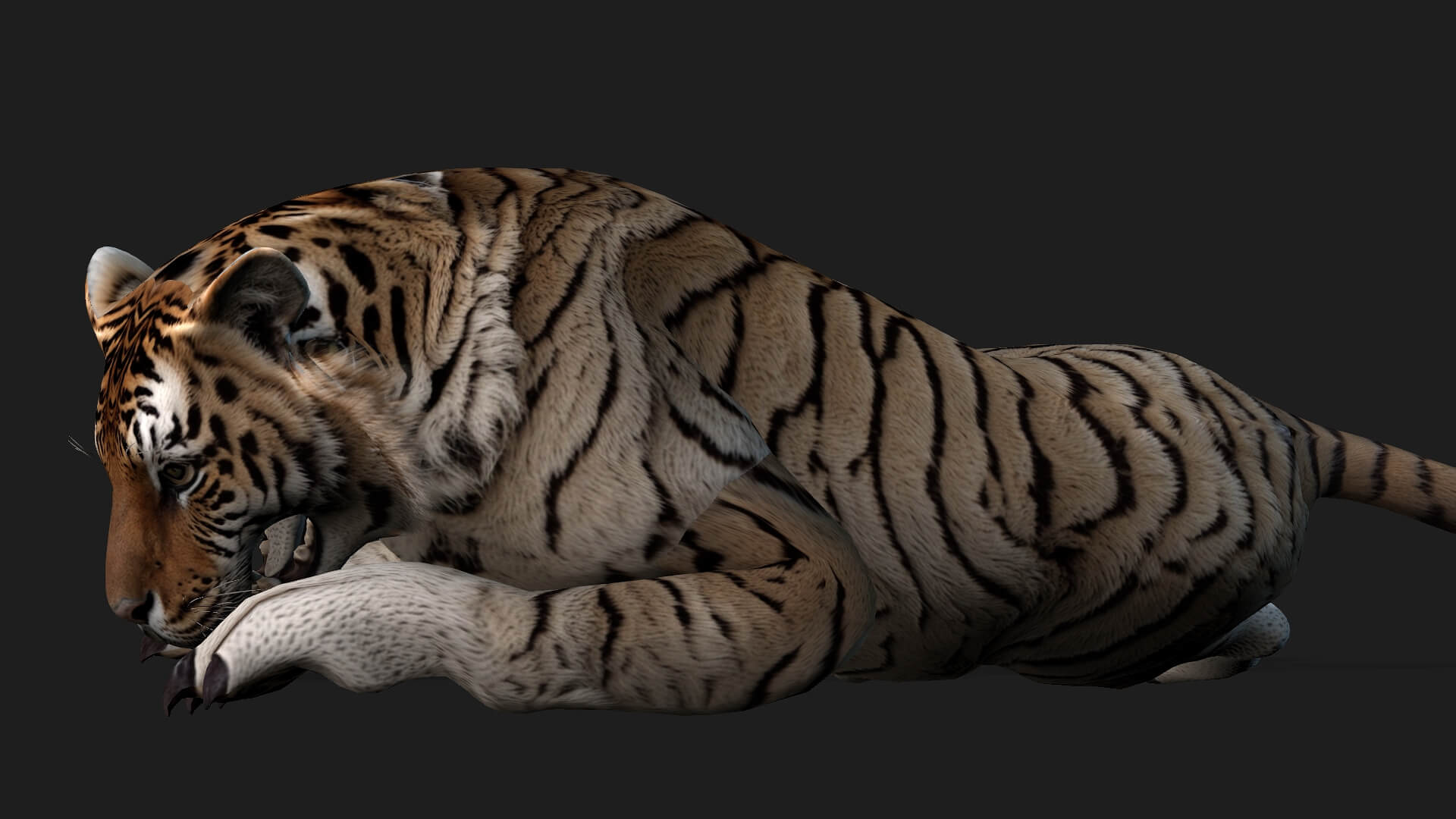 Tiger A3 Animated - 3D Model by Animated3d