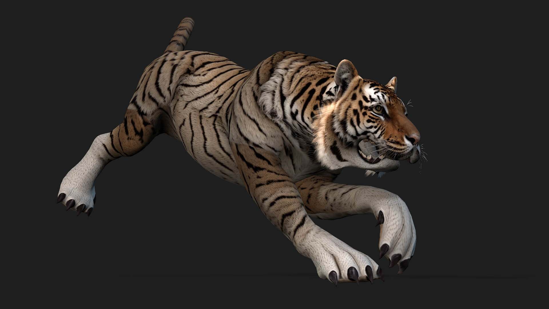 Tiger A3 Animated - 3D Model by Animated3d