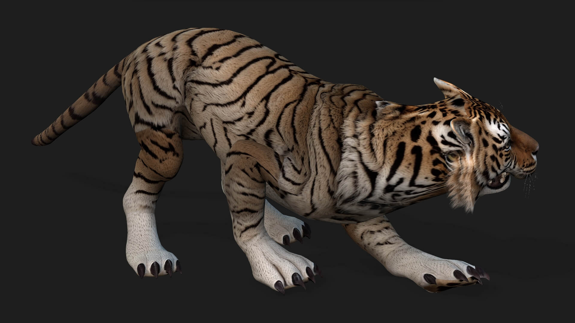 Tiger A3 Animated - 3D Model by Animated3d