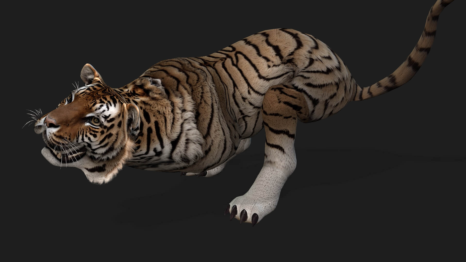 Tiger A3 Animated - 3D Model by Animated3d