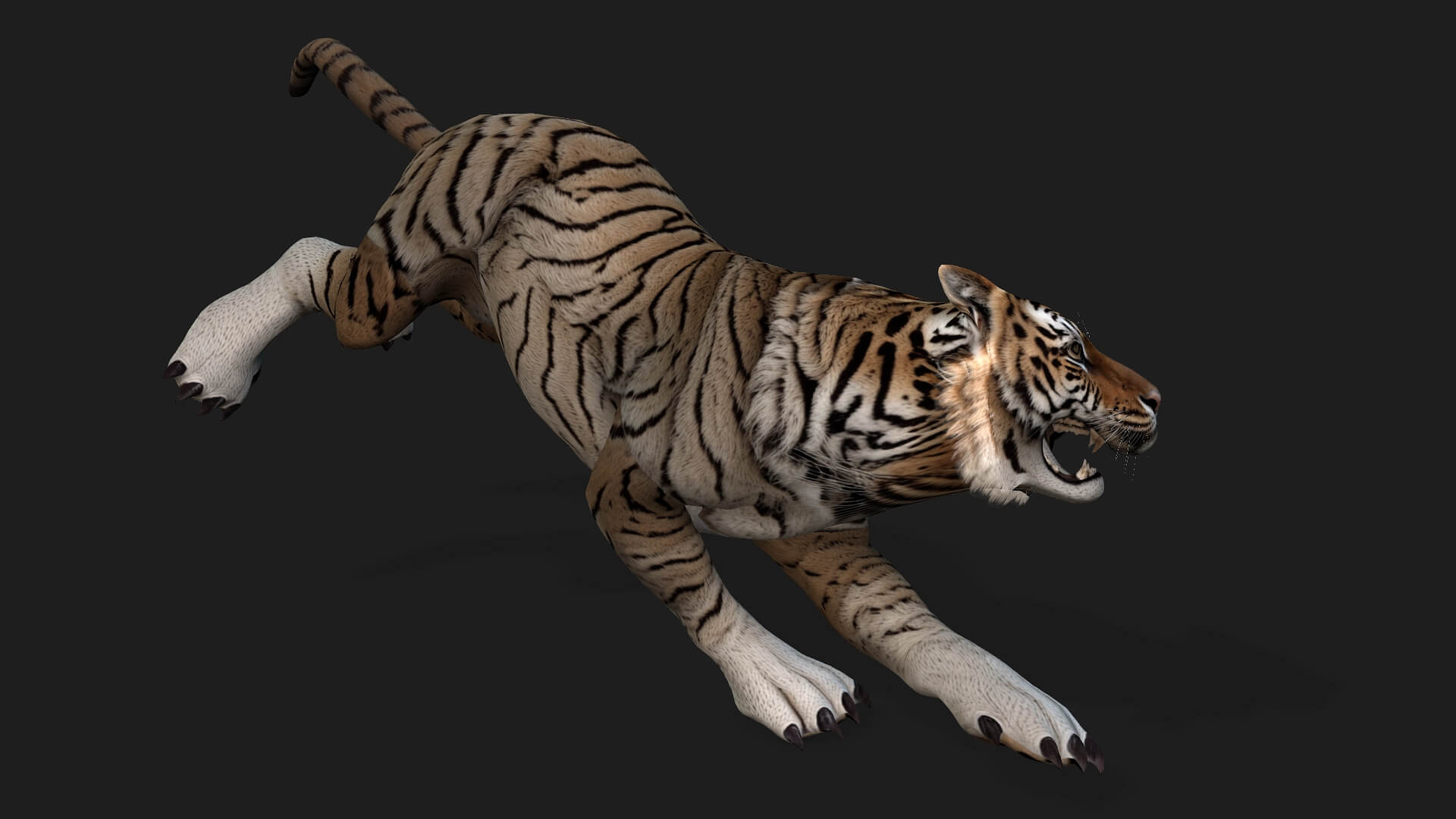 Tiger A3 Animated - 3D Model by Animated3d