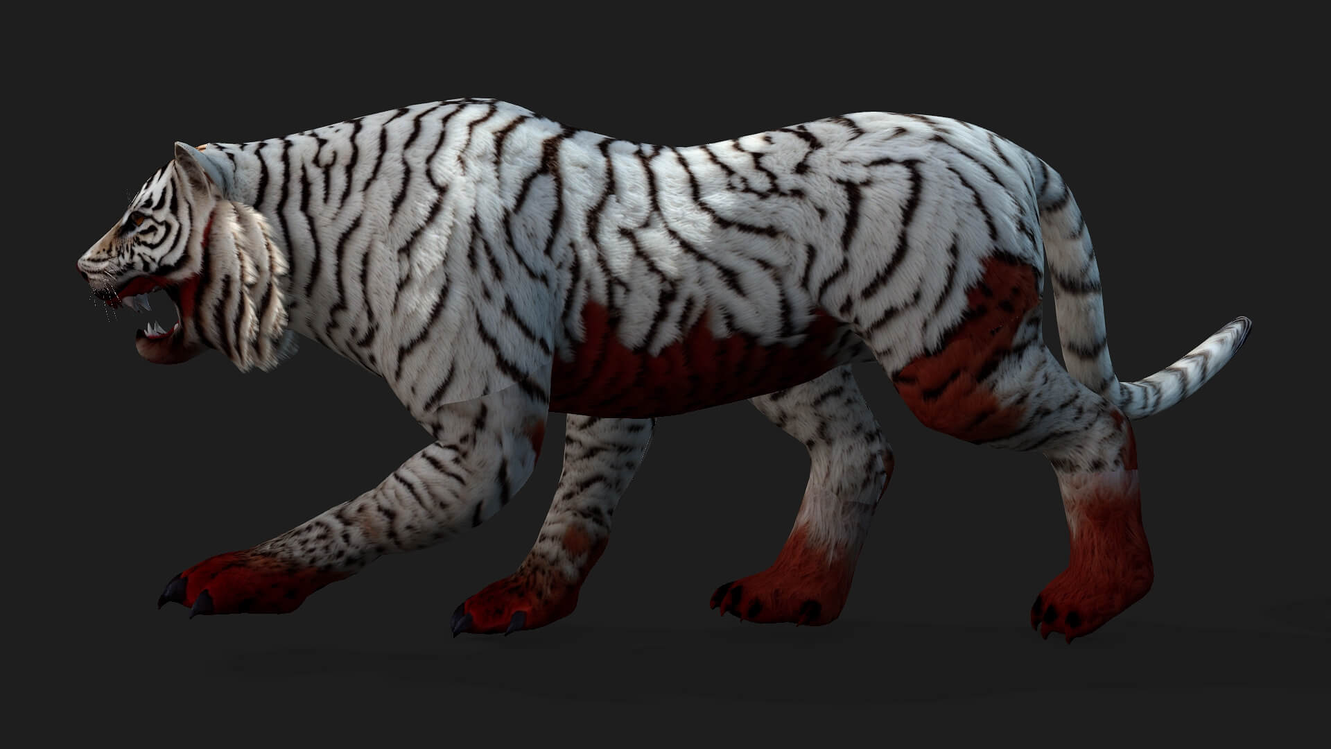 Tiger A4 Animated - 3D Model by Animated3d
