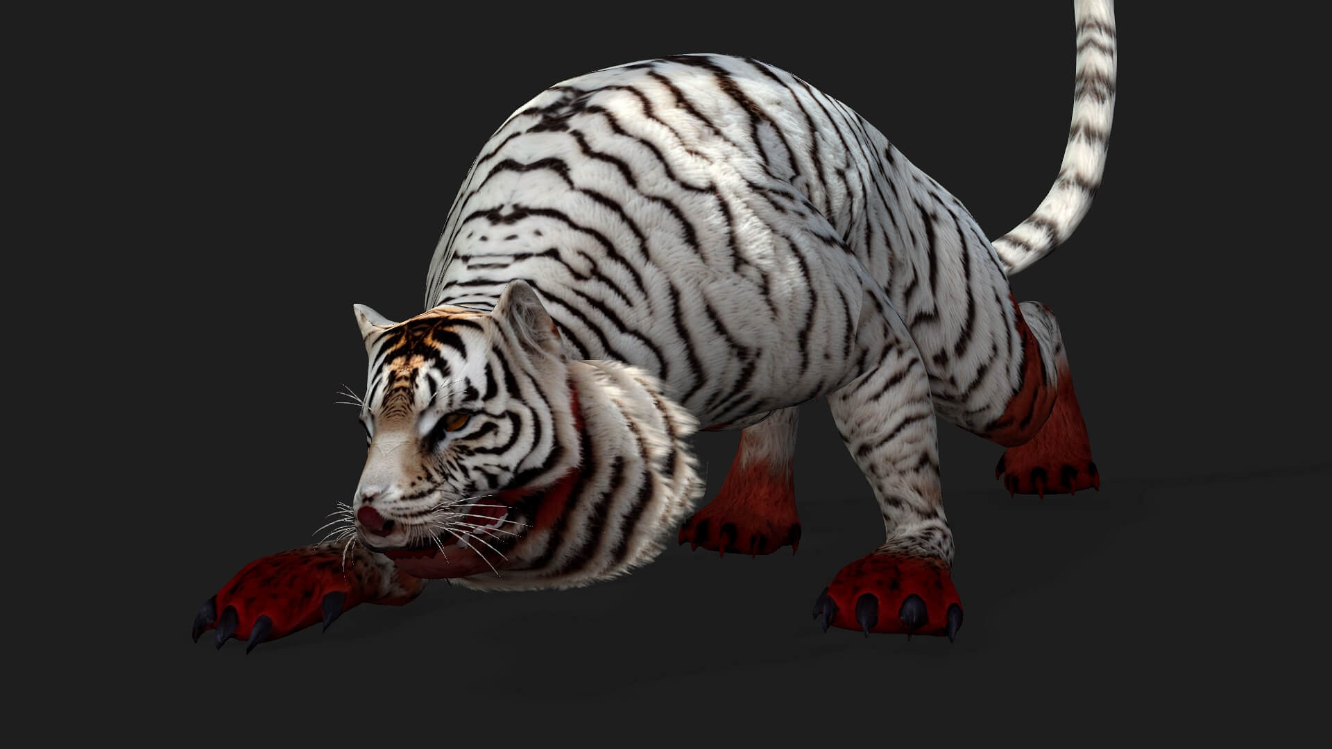 Tiger A4 Animated - 3D Model by Animated3d