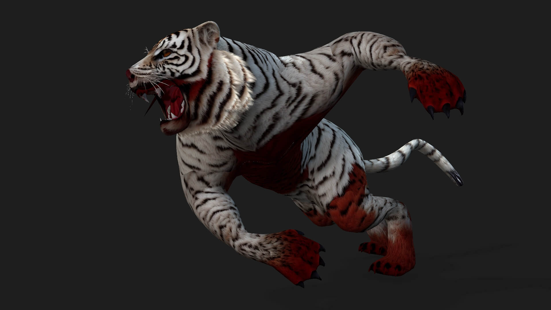 Tiger A4 Animated - 3D Model by Animated3d