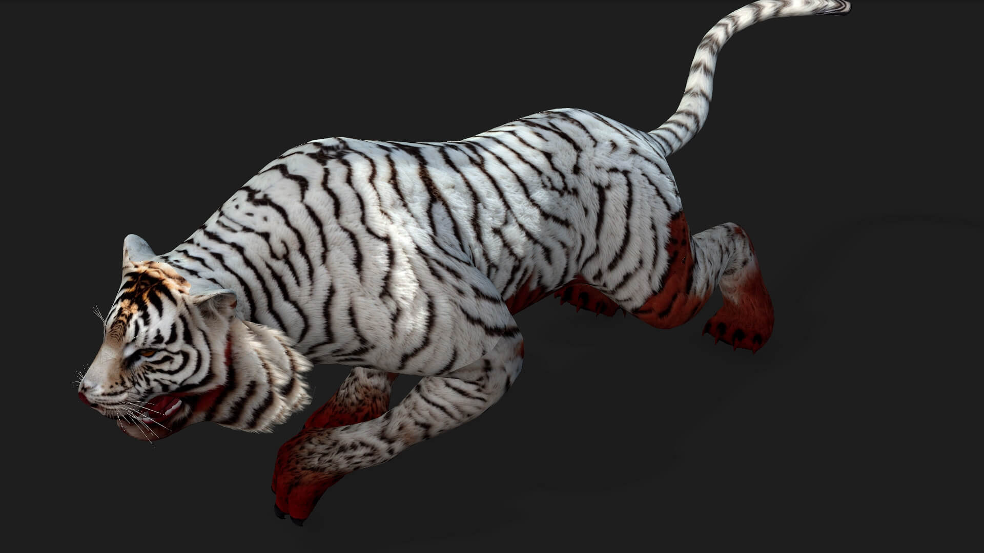 Tiger A4 Animated - 3D Model by Animated3d