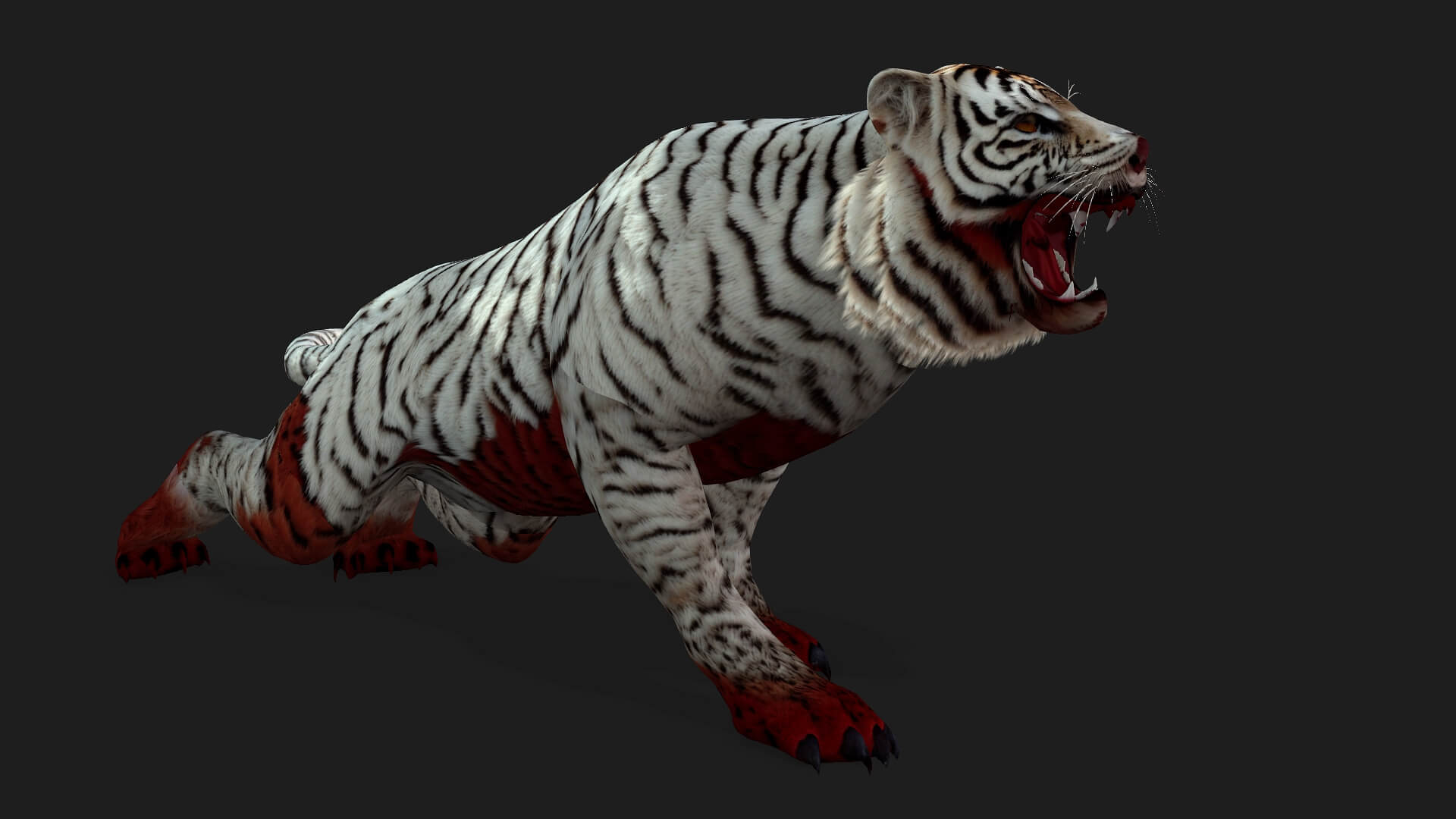 Tiger A4 Animated - 3D Model by Animated3d