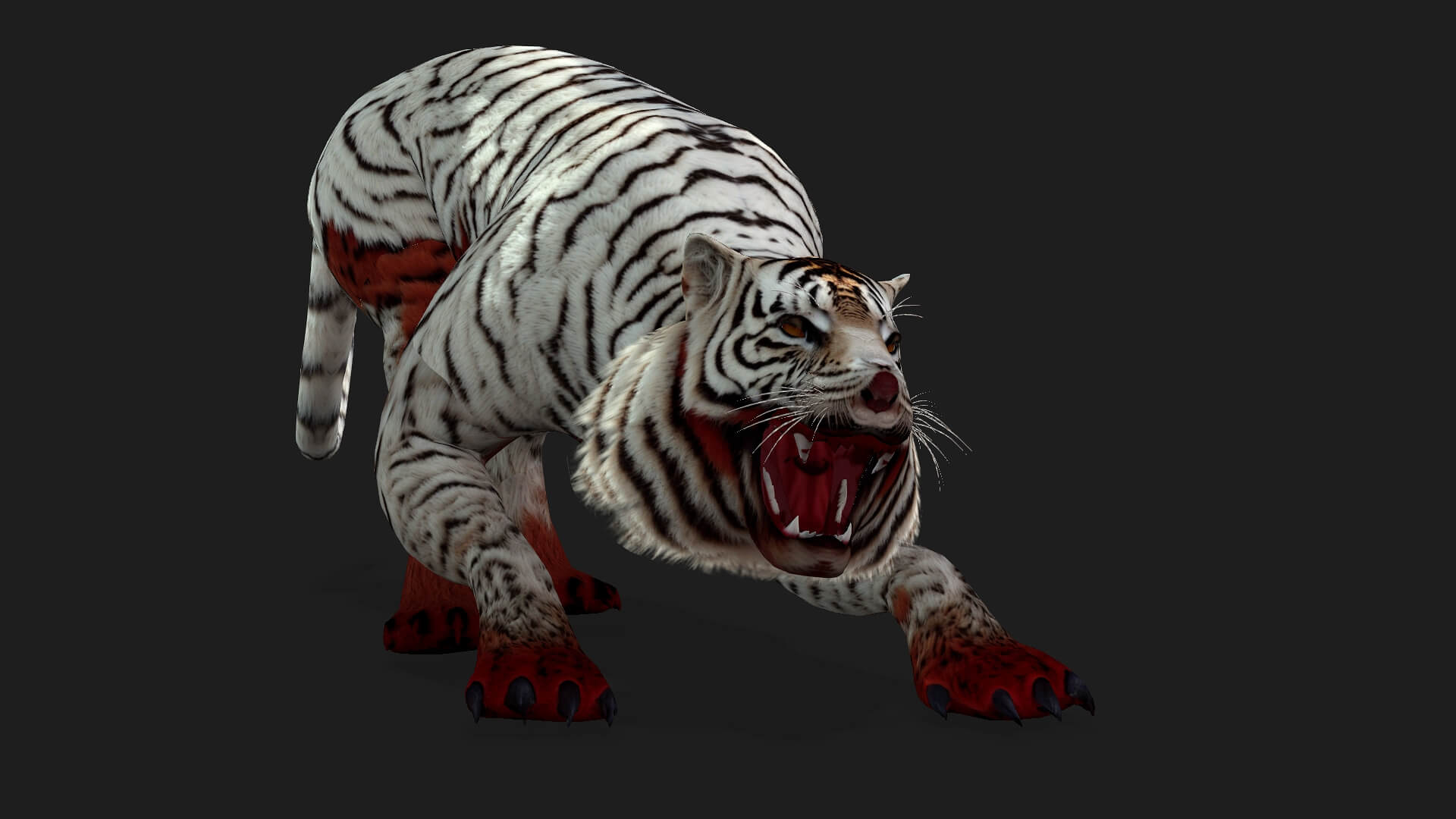 Tiger A4 Animated - 3D Model by Animated3d