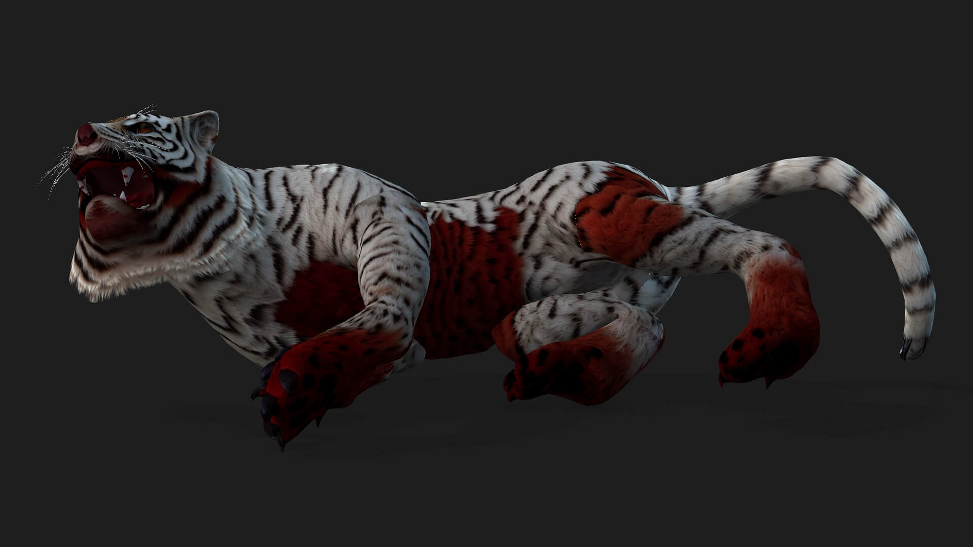 Tiger A4 Animated - 3D Model by Animated3d