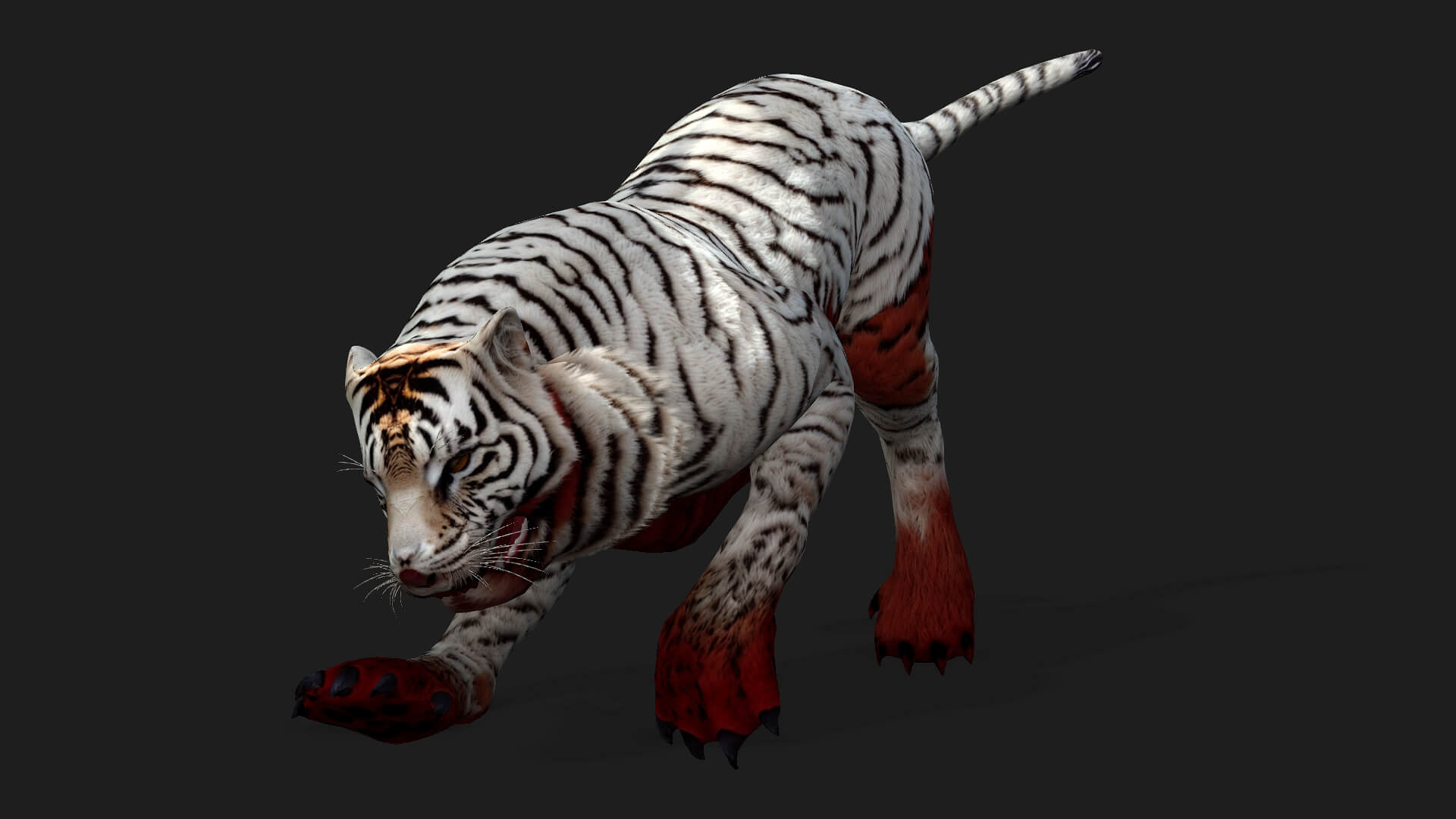 Tiger A4 Animated - 3D Model by Animated3d