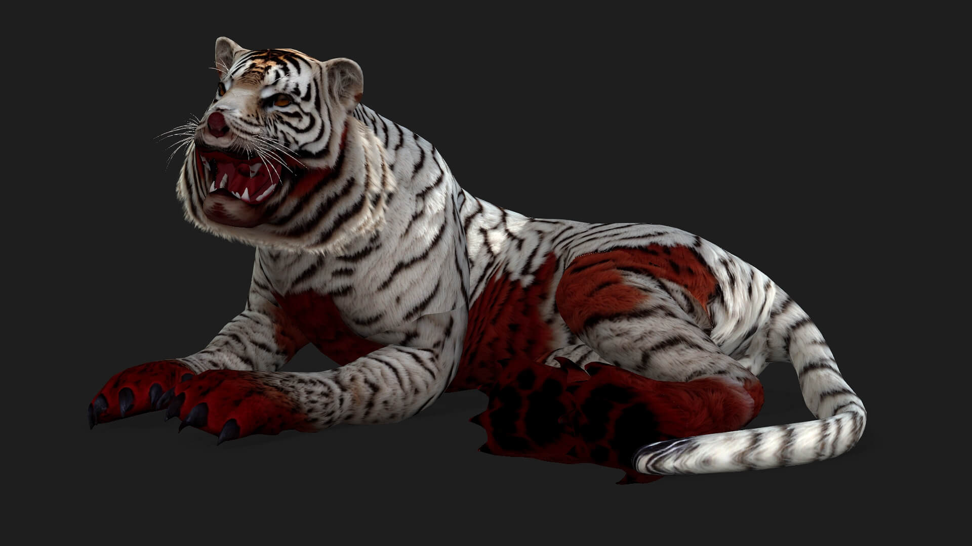 Tiger A4 Animated - 3D Model by Animated3d