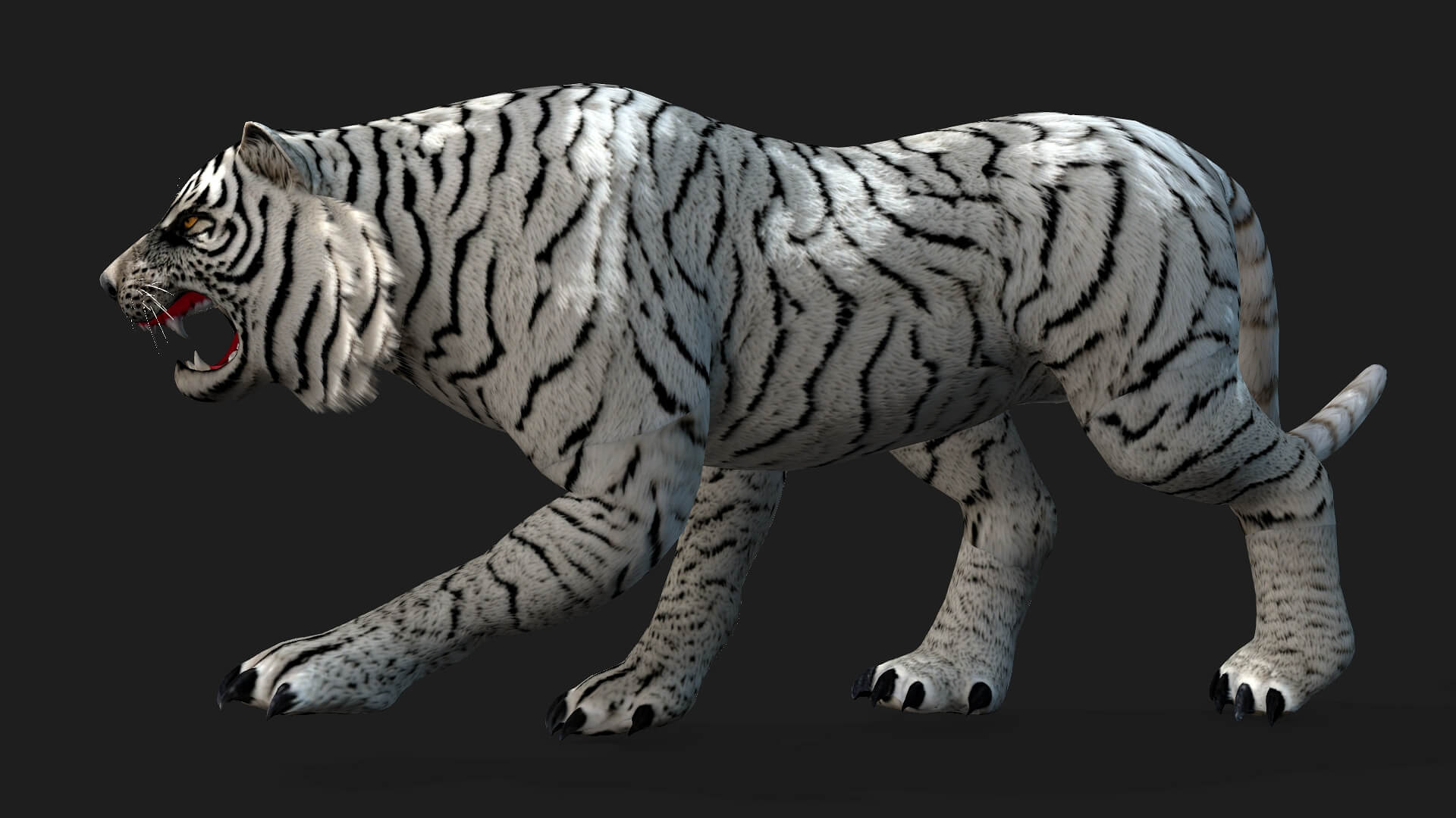 Tiger A5 Animated - 3D Model by Animated3d