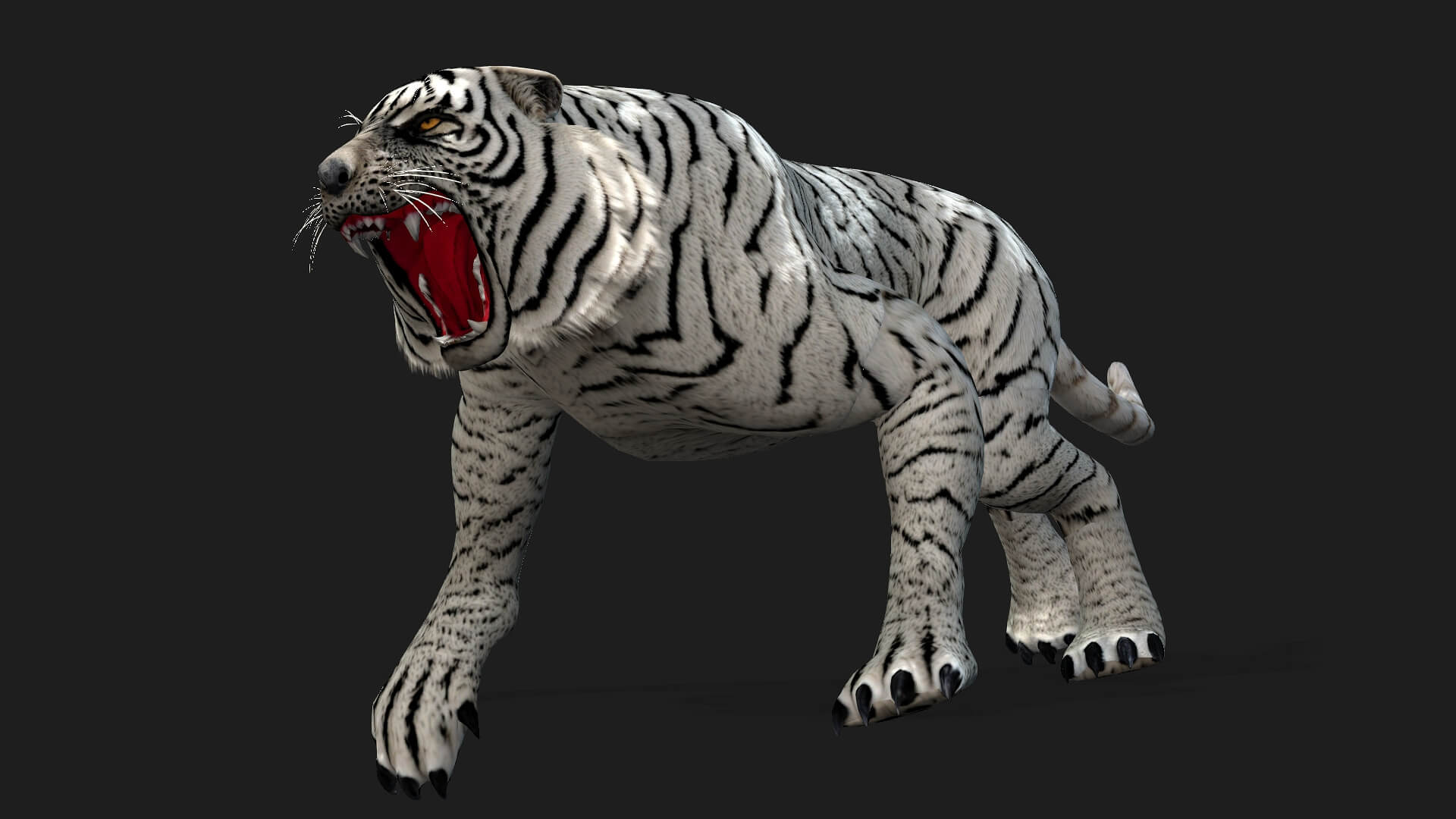 Tiger A5 Animated - 3D Model by Animated3d