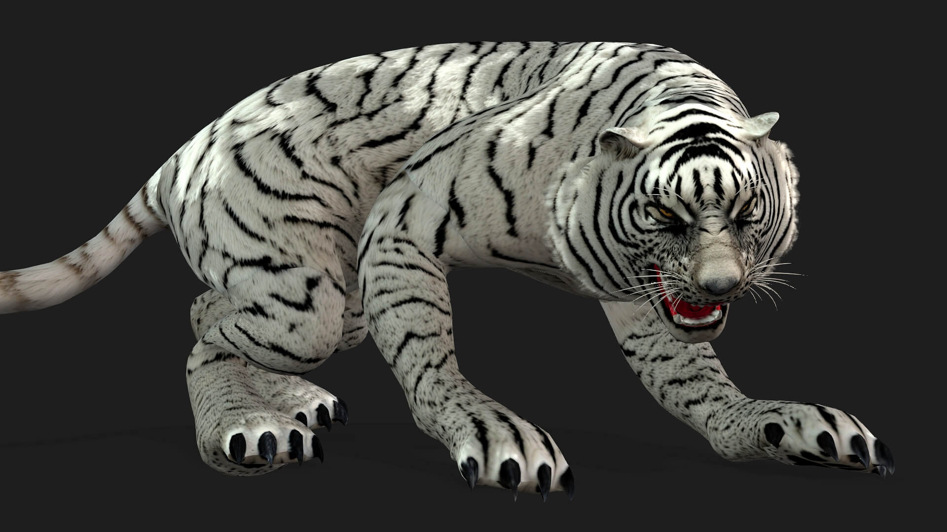 Tiger A5 Animated - 3D Model by Animated3d