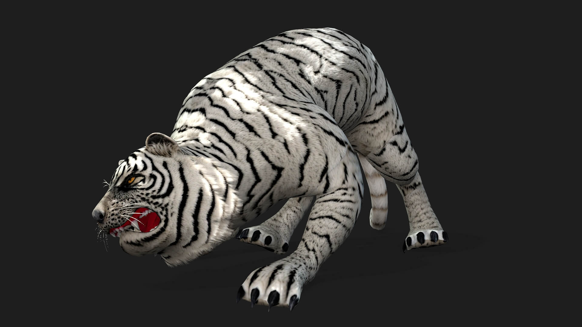 Tiger A5 Animated - 3D Model by Animated3d