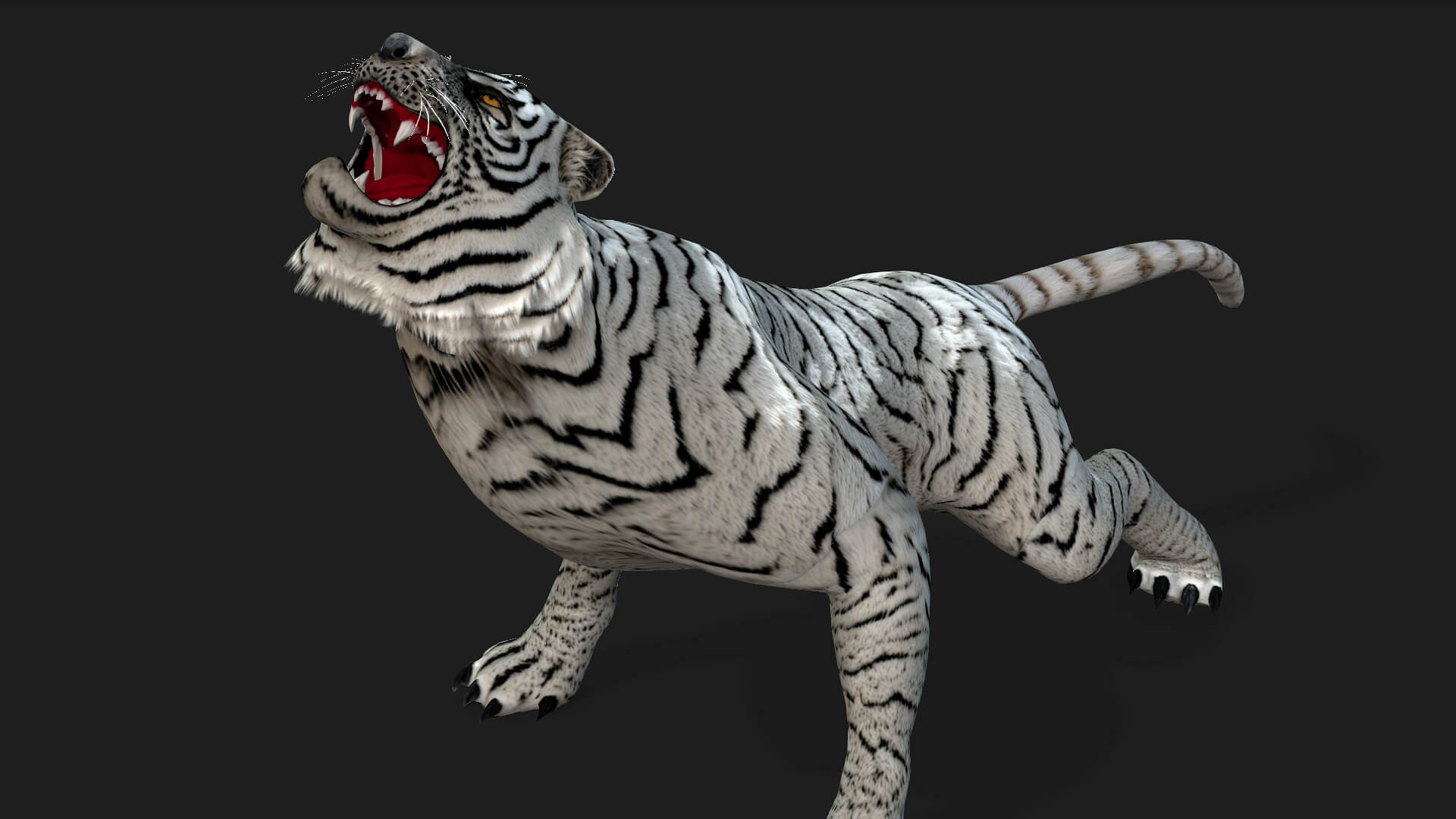 Tiger A5 Animated - 3D Model by Animated3d