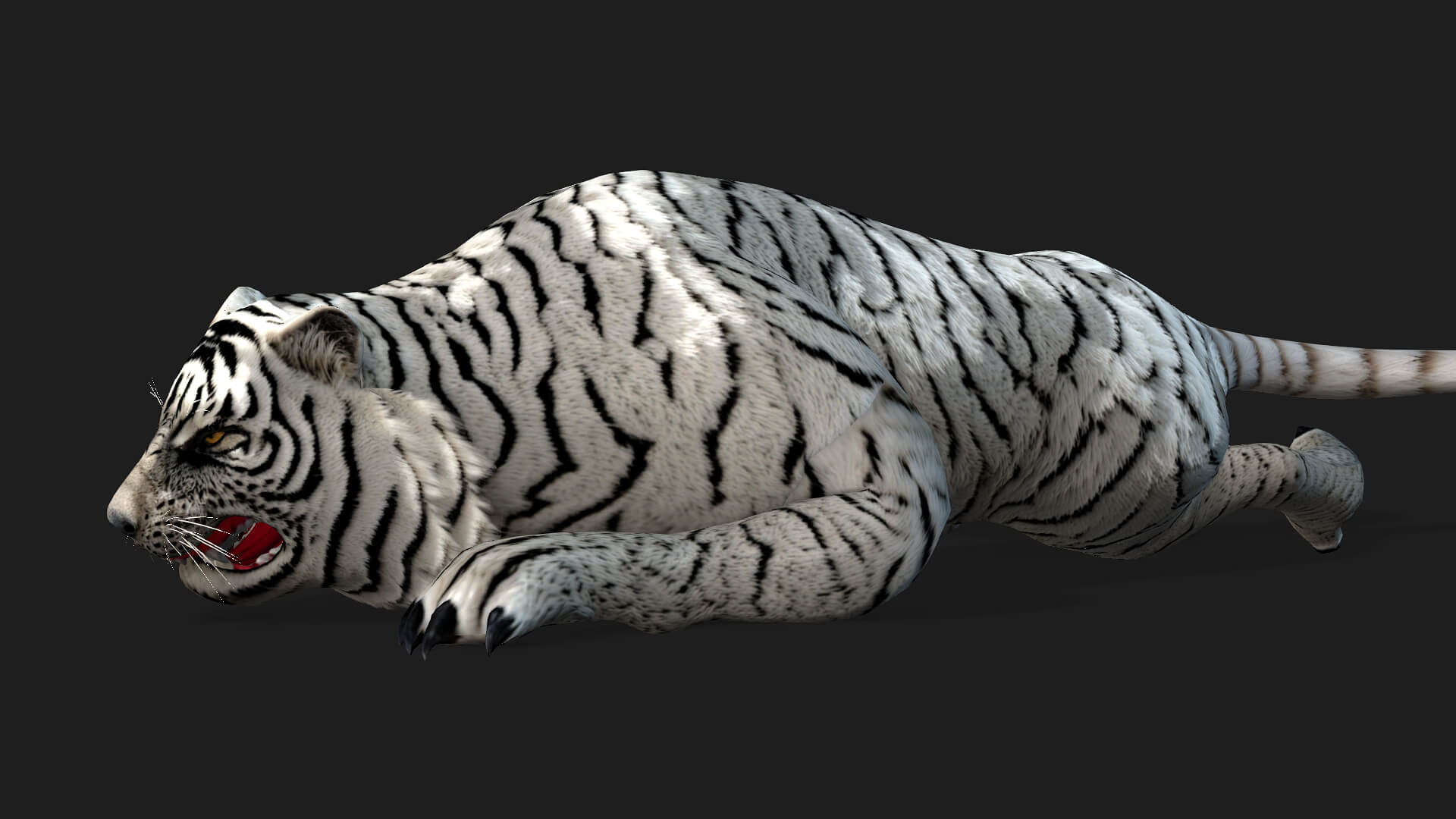 Tiger A5 Animated - 3D Model by Animated3d