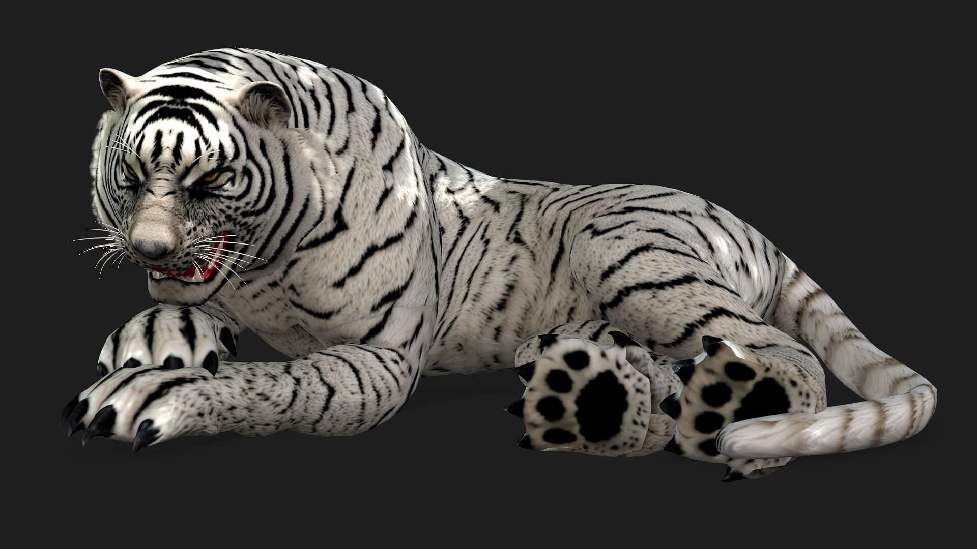 Tiger A5 Animated - 3D Model by Animated3d