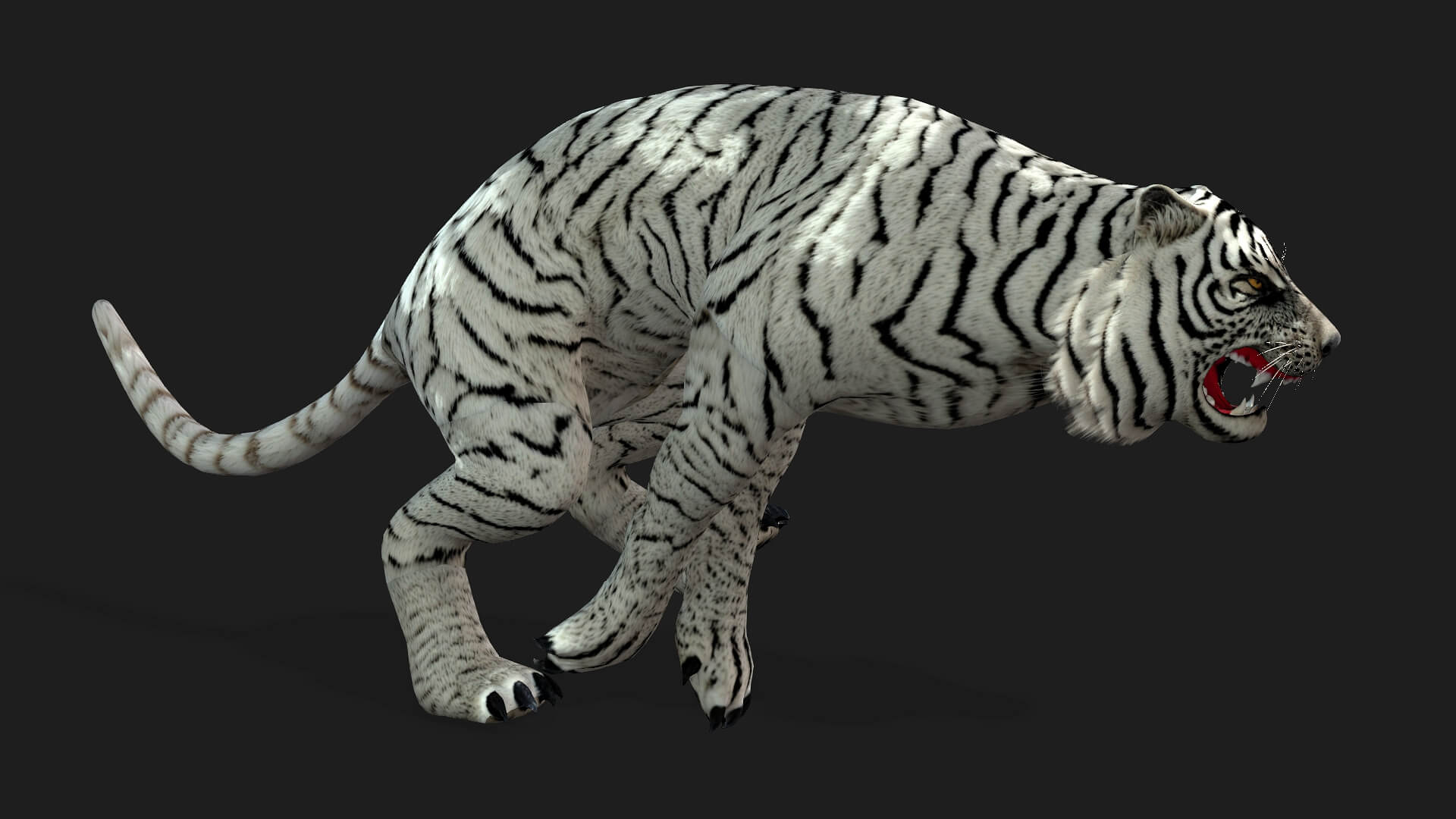 Tiger A5 Animated - 3D Model by Animated3d