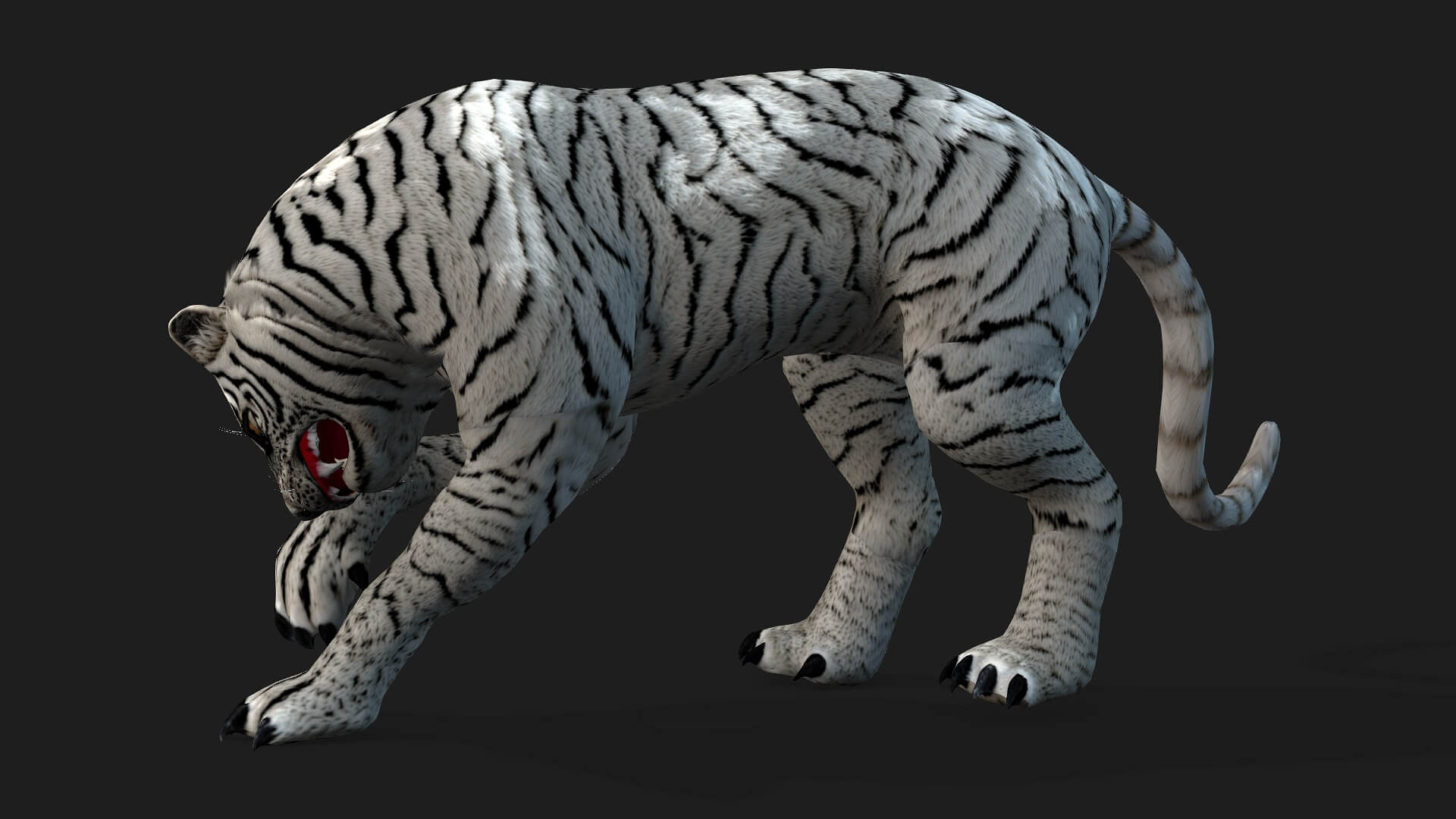 Tiger A5 Animated - 3D Model by Animated3d