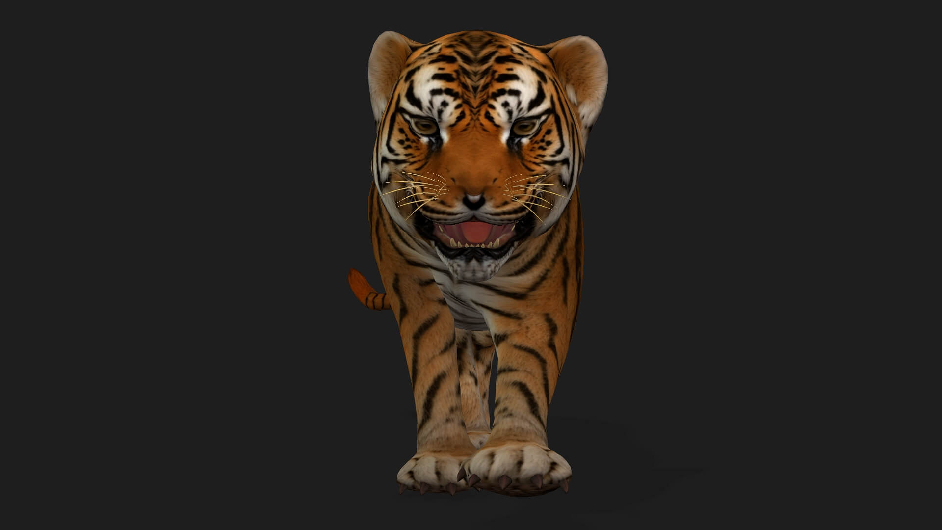 Tiger Baby A1 - 3D Model by Animated3d