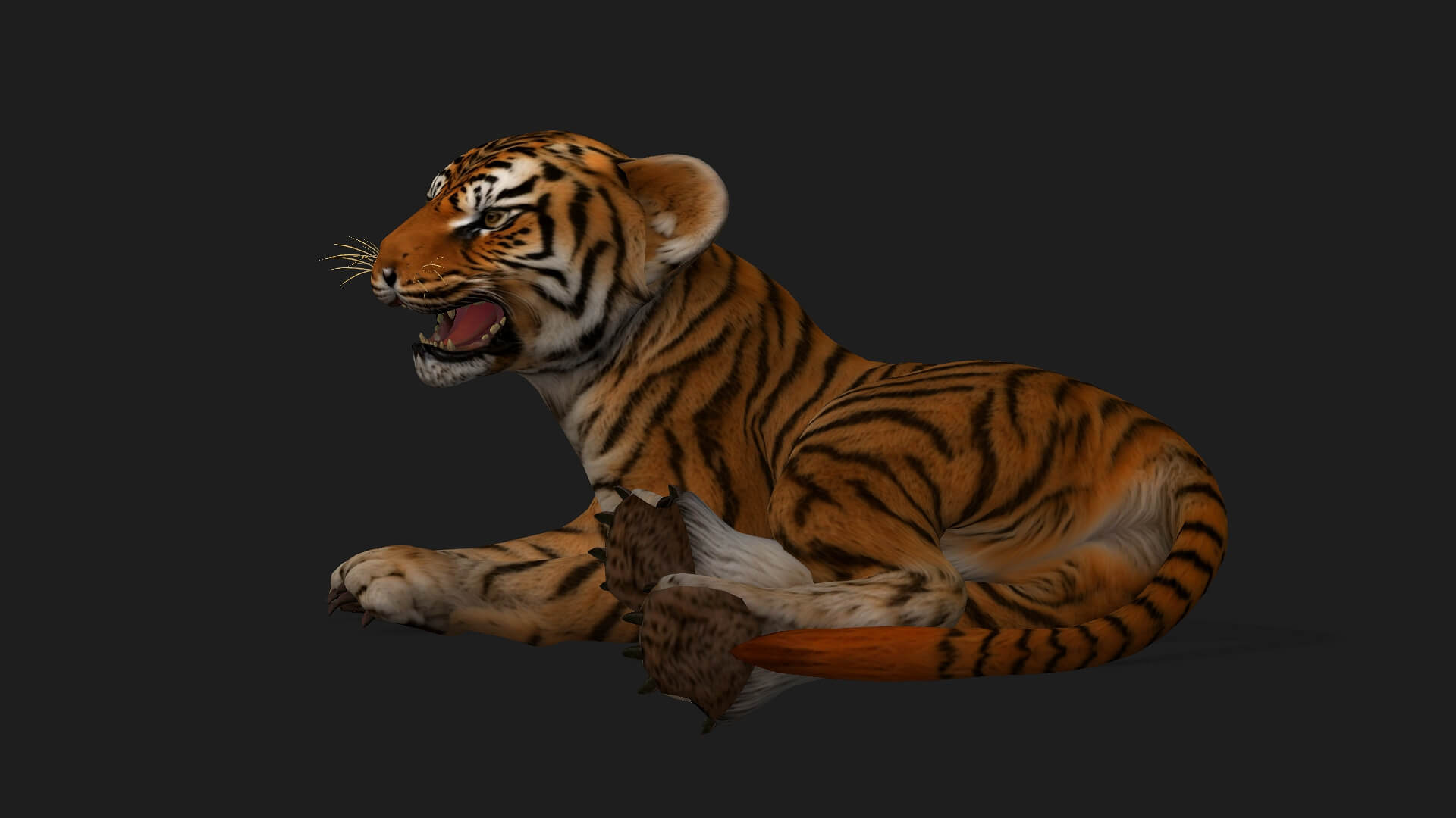 Tiger Baby A1 - 3D Model by Animated3d