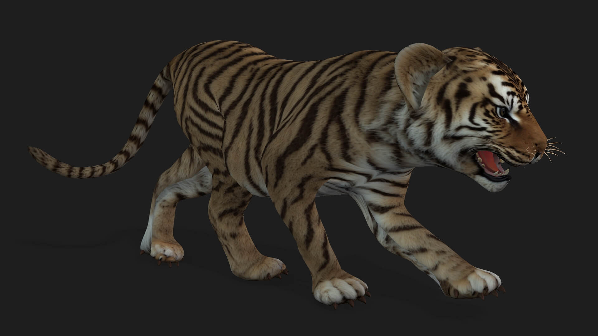 Tiger Baby A2 - 3D Model by Animated3d