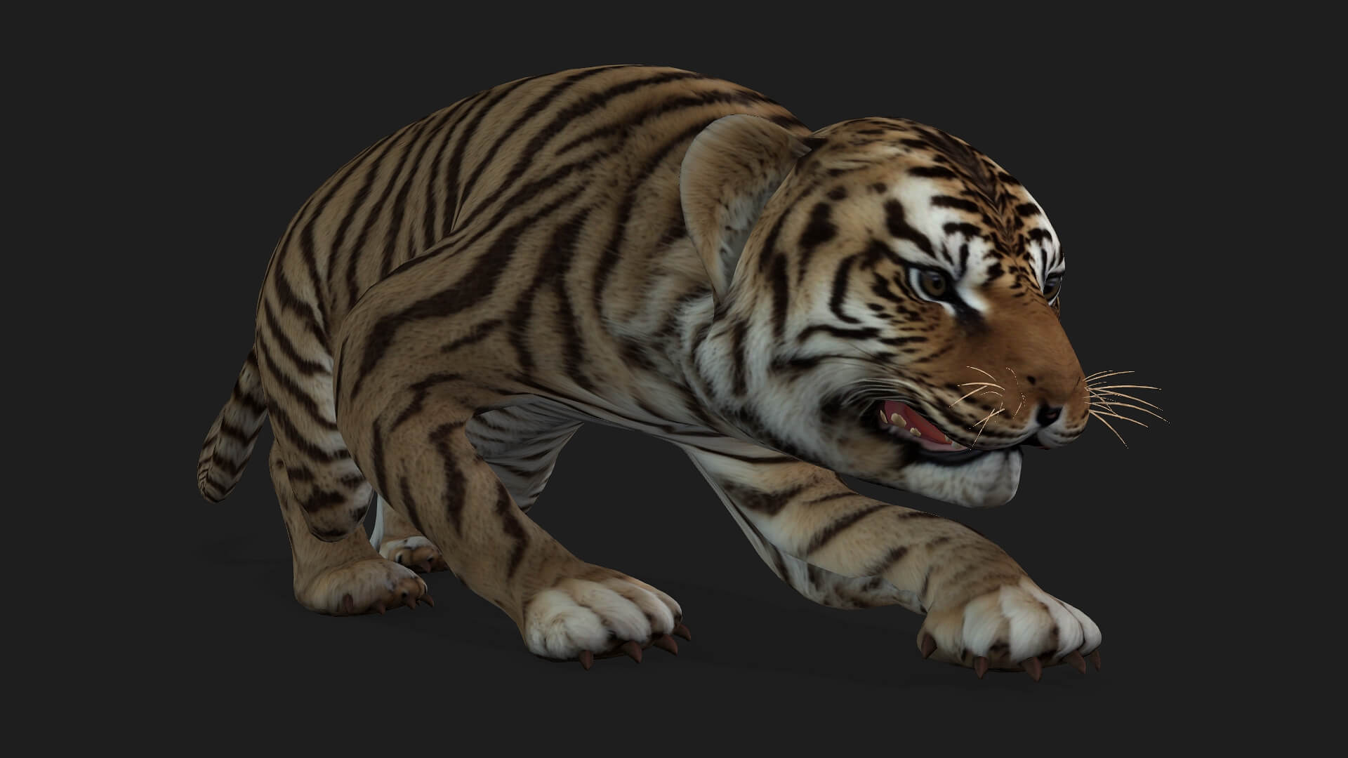 Tiger Baby A2 - 3D Model by Animated3d
