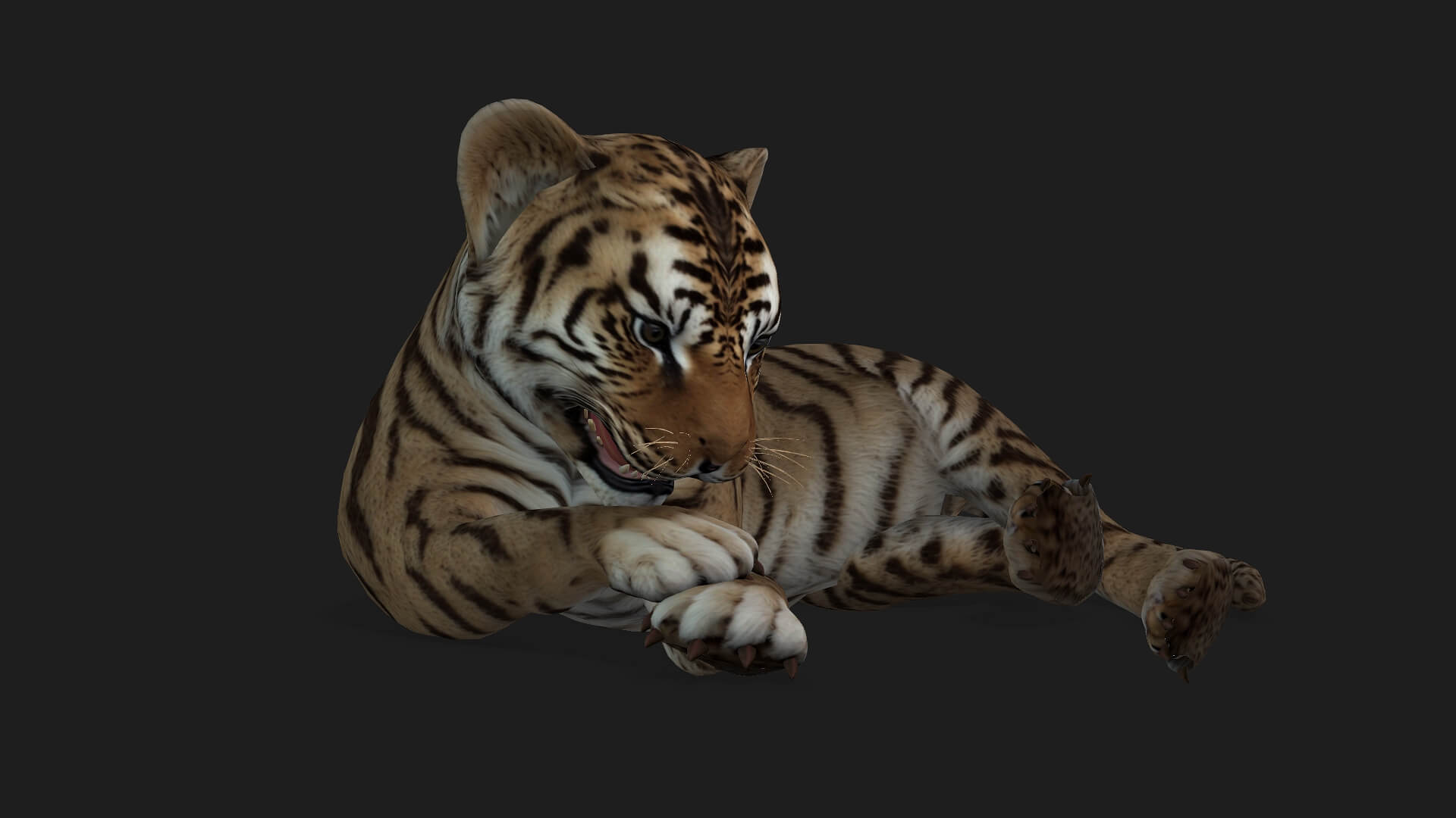 Tiger Baby A2 - 3D Model by Animated3d
