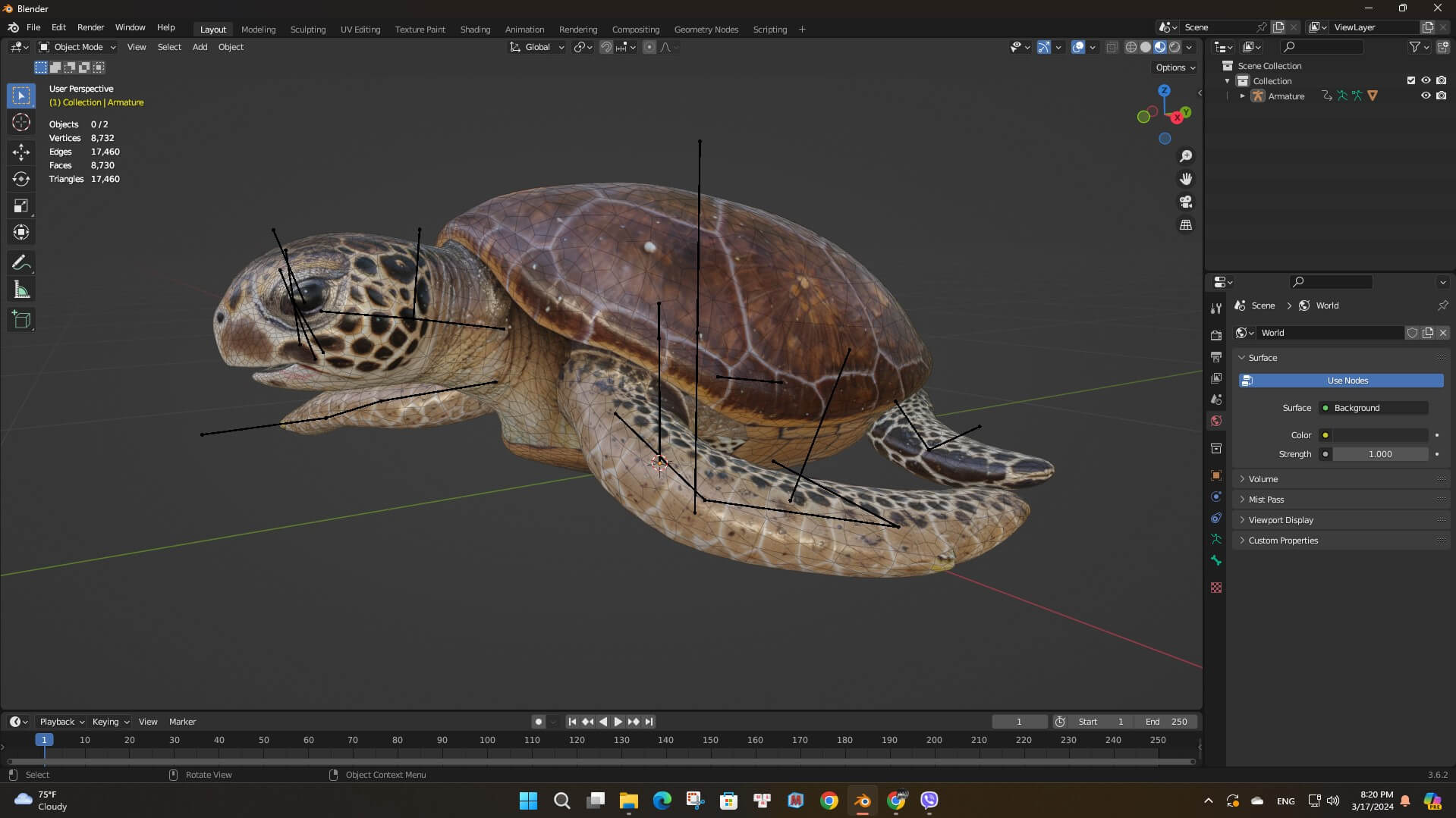 Turtle-A1-Animated 3D Model by Animated3d