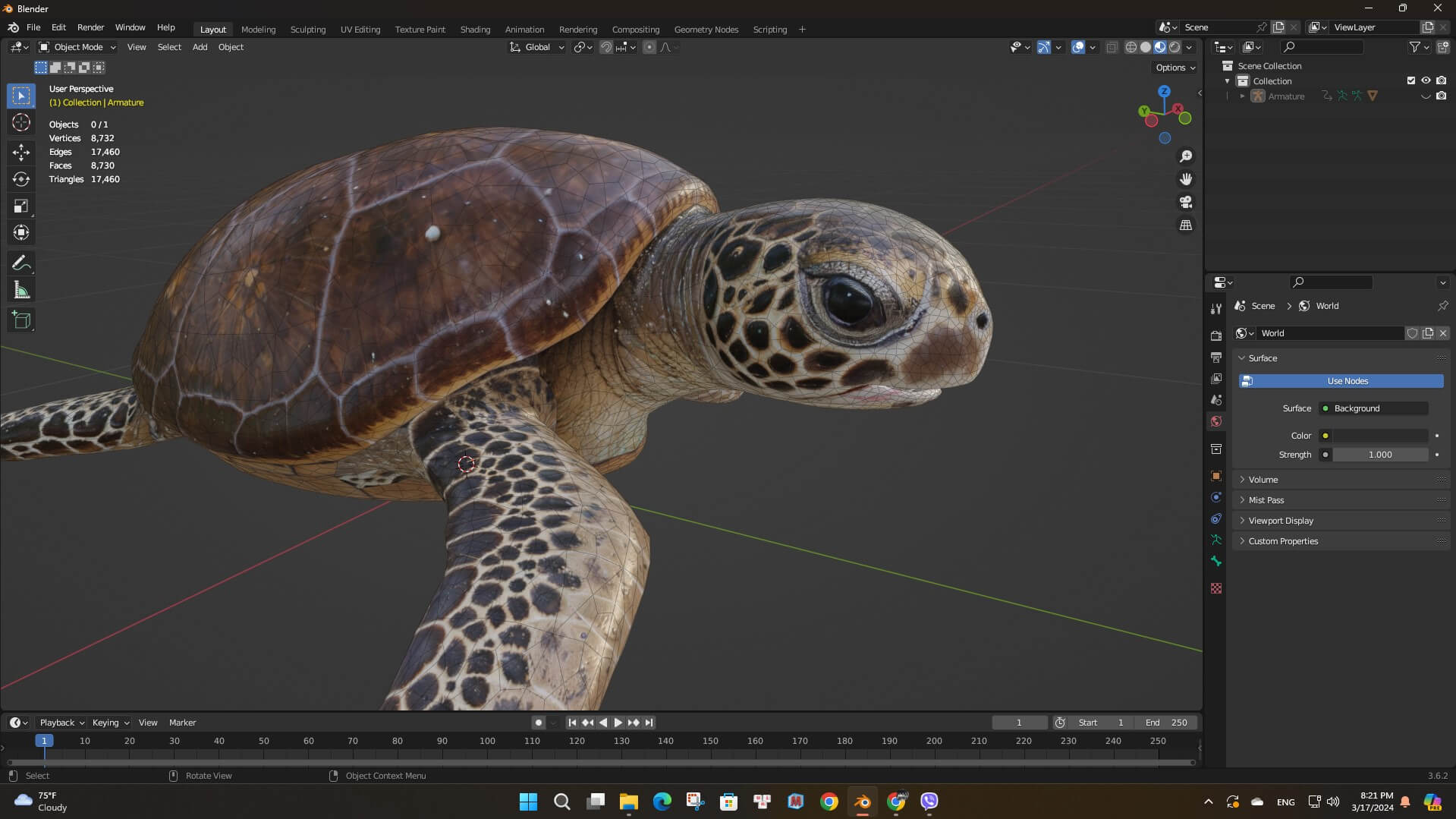 Turtle-A1-Animated 3D Model by Animated3d