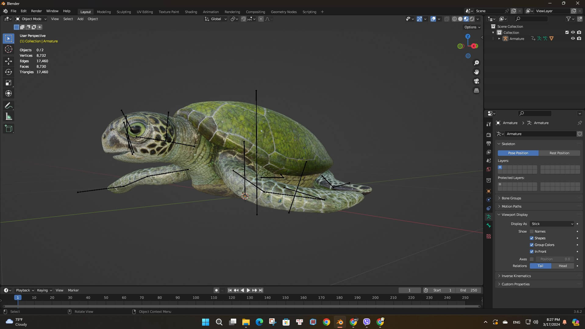 Turtle-A3-Animated 3D Model by Animated3d