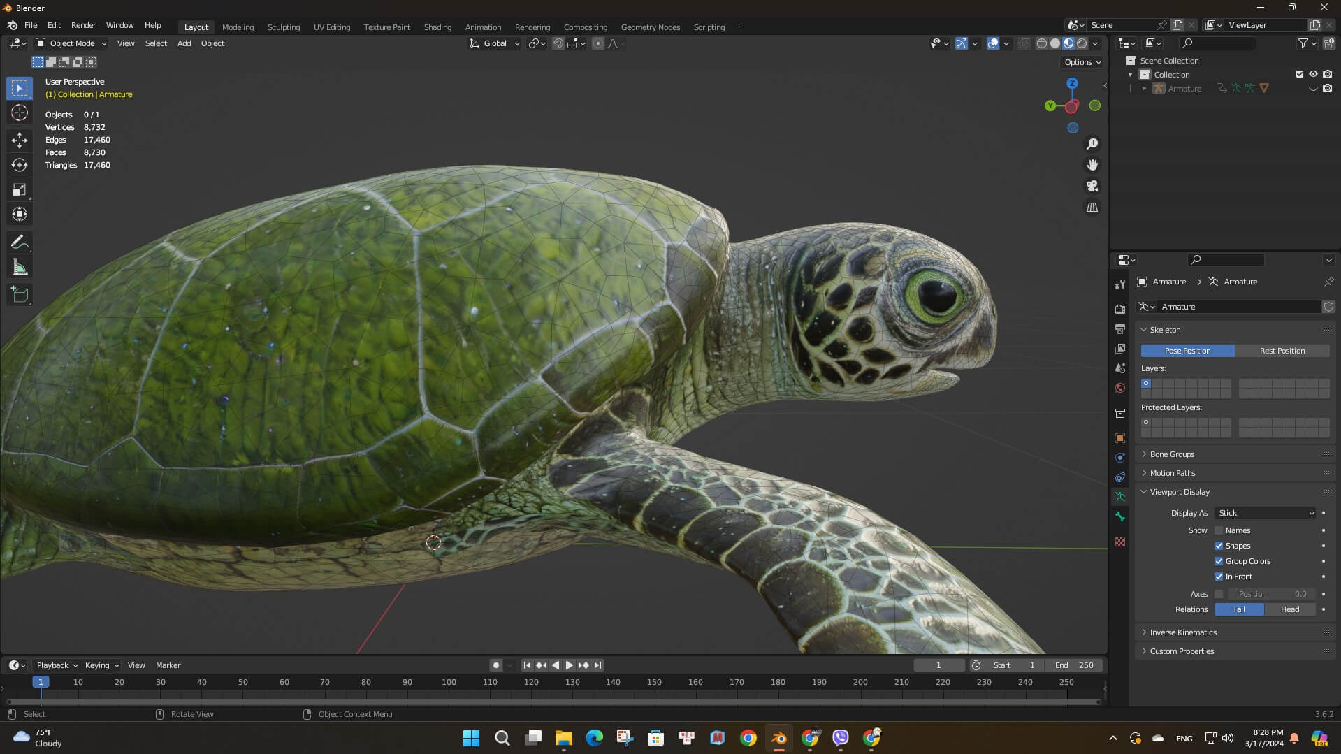 Turtle-A3-Animated 3D Model by Animated3d