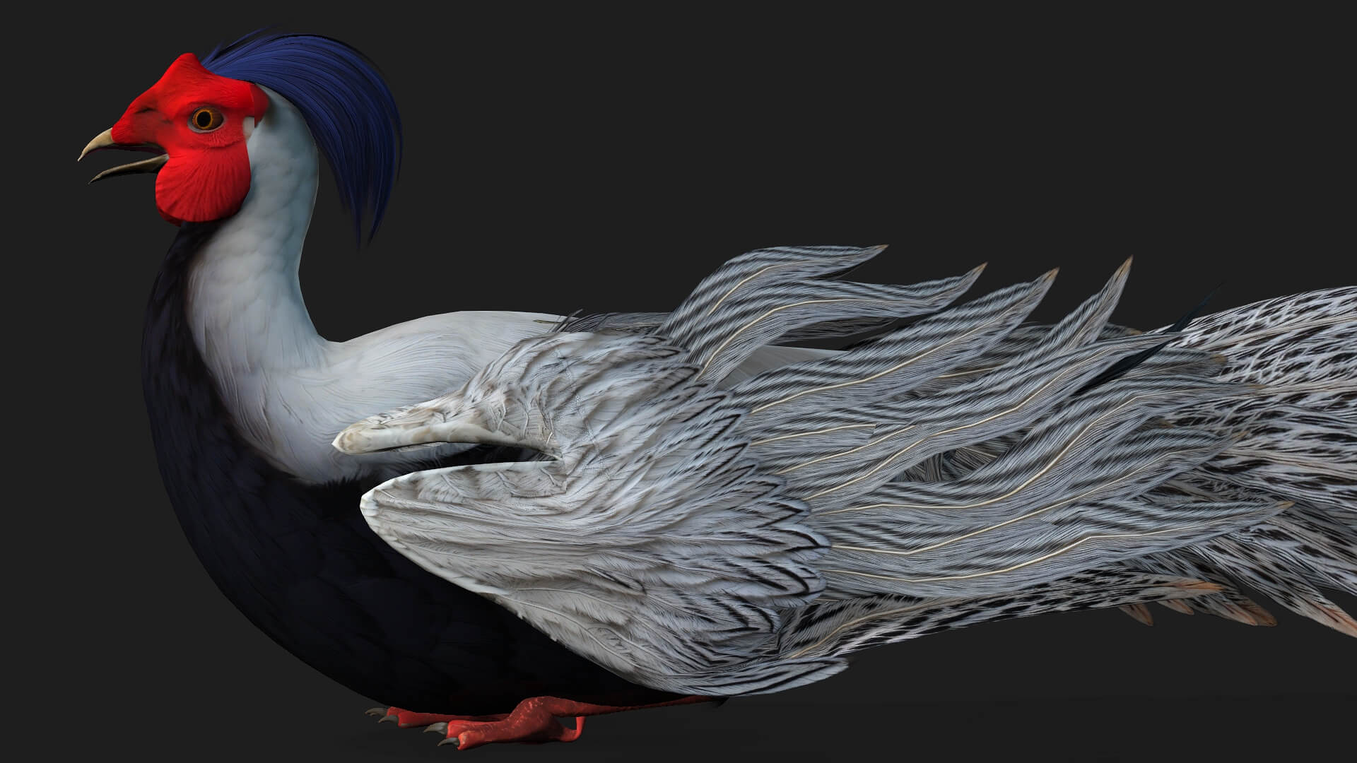 White Pheasant-A1 3D Animation by Animated3d