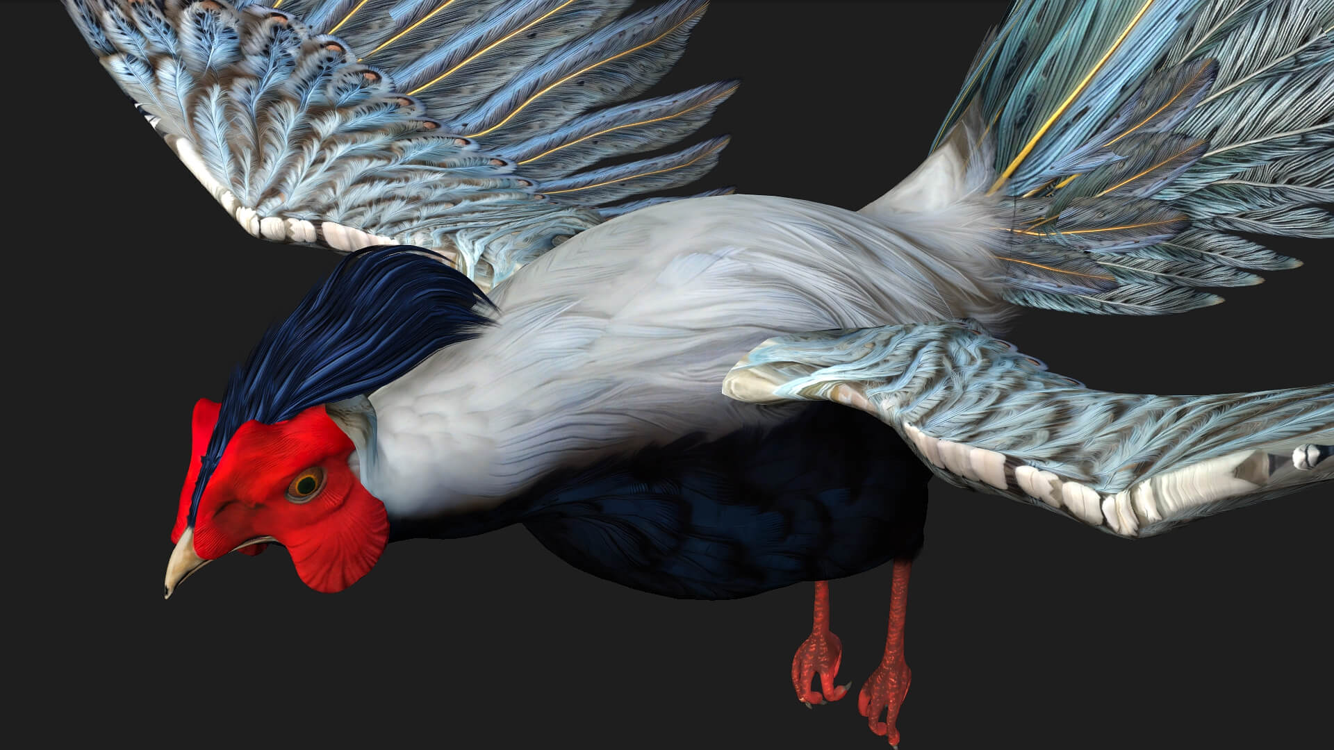 White Pheasant-A2 3D Animation by Animated3d