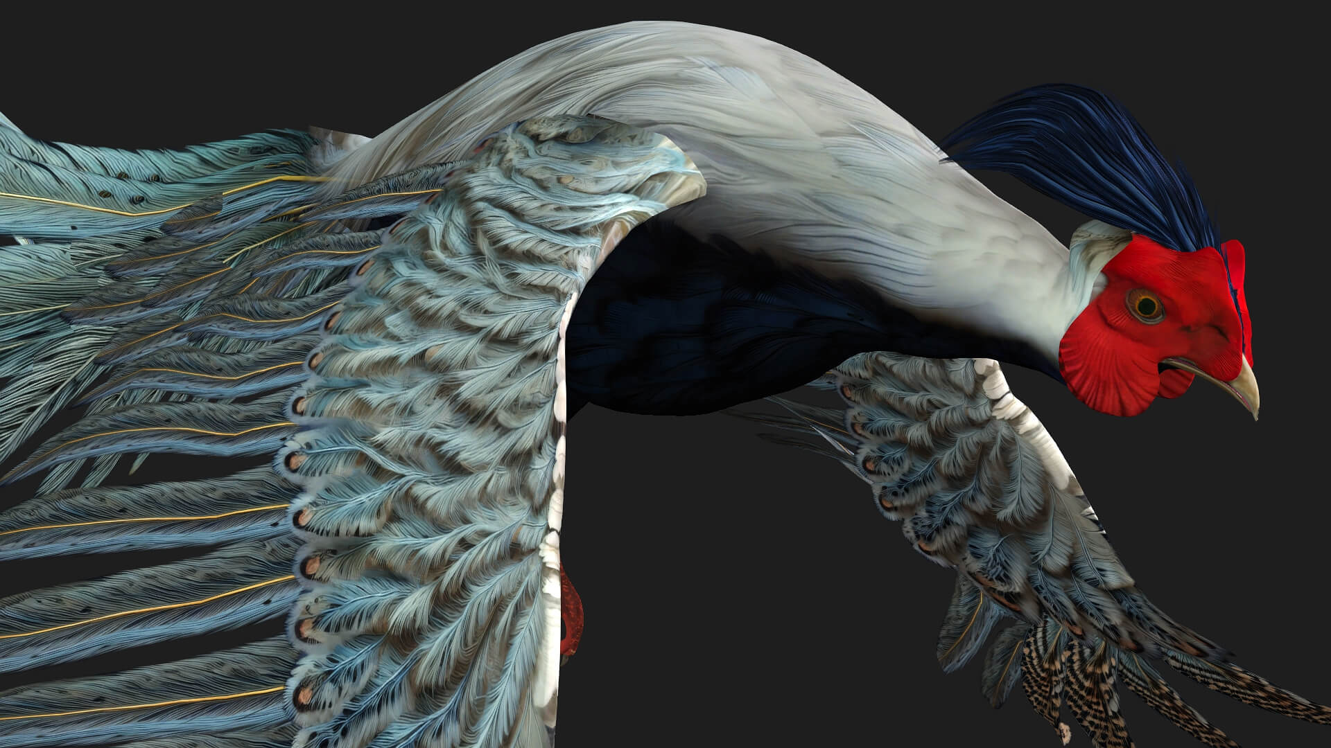 White Pheasant-A2 3D Animation by Animated3d