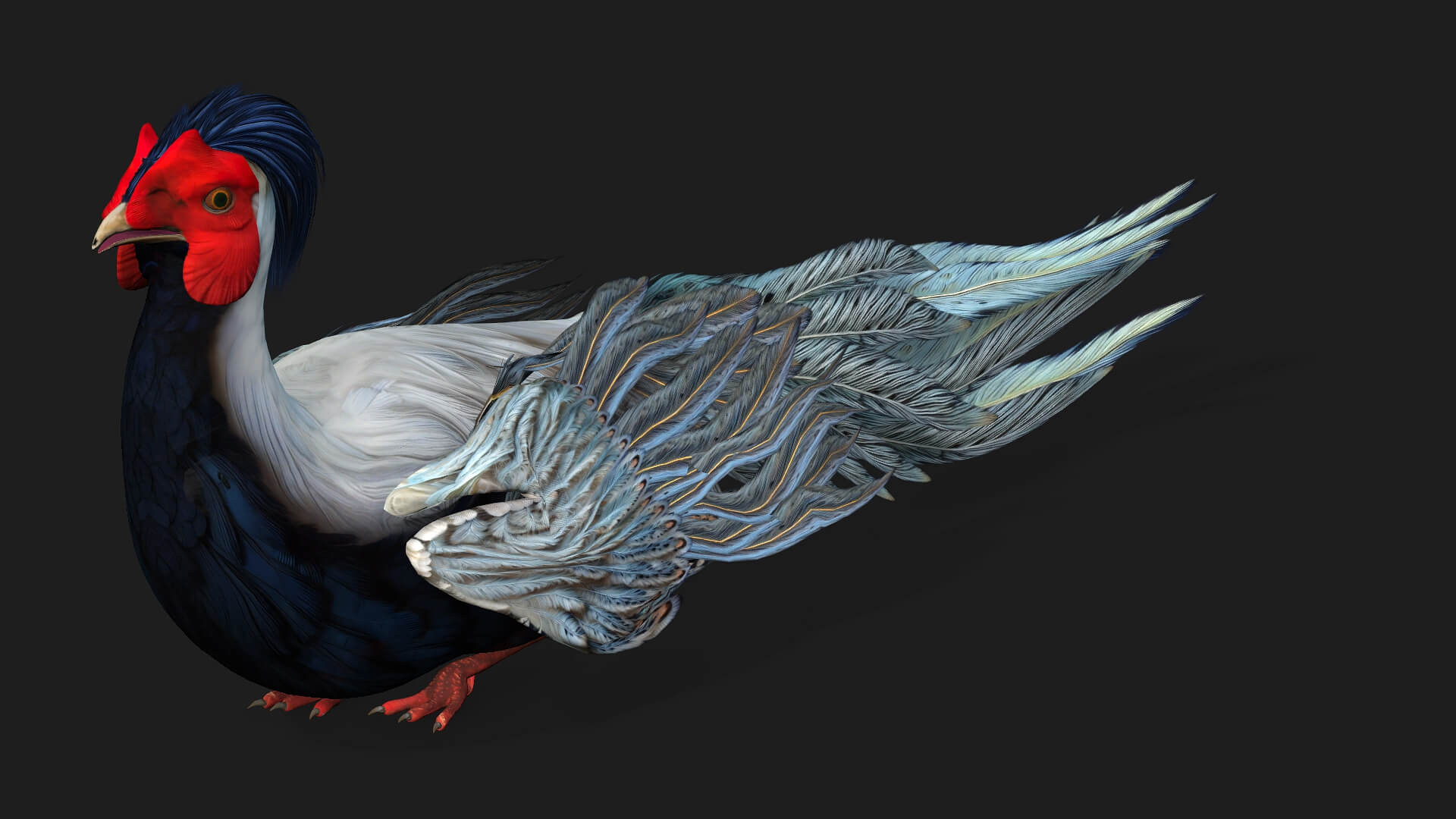 White Pheasant-A2 3D Animation by Animated3d