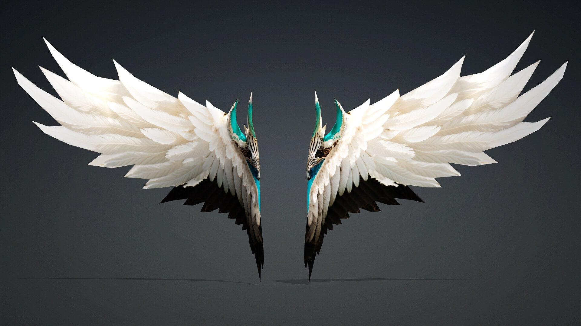 Wing-A12345-Animated 3D Model by Animated3d