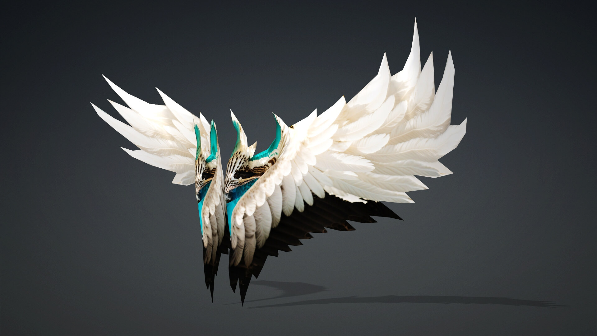 Wing-A12345-Animated 3D Model by Animated3d
