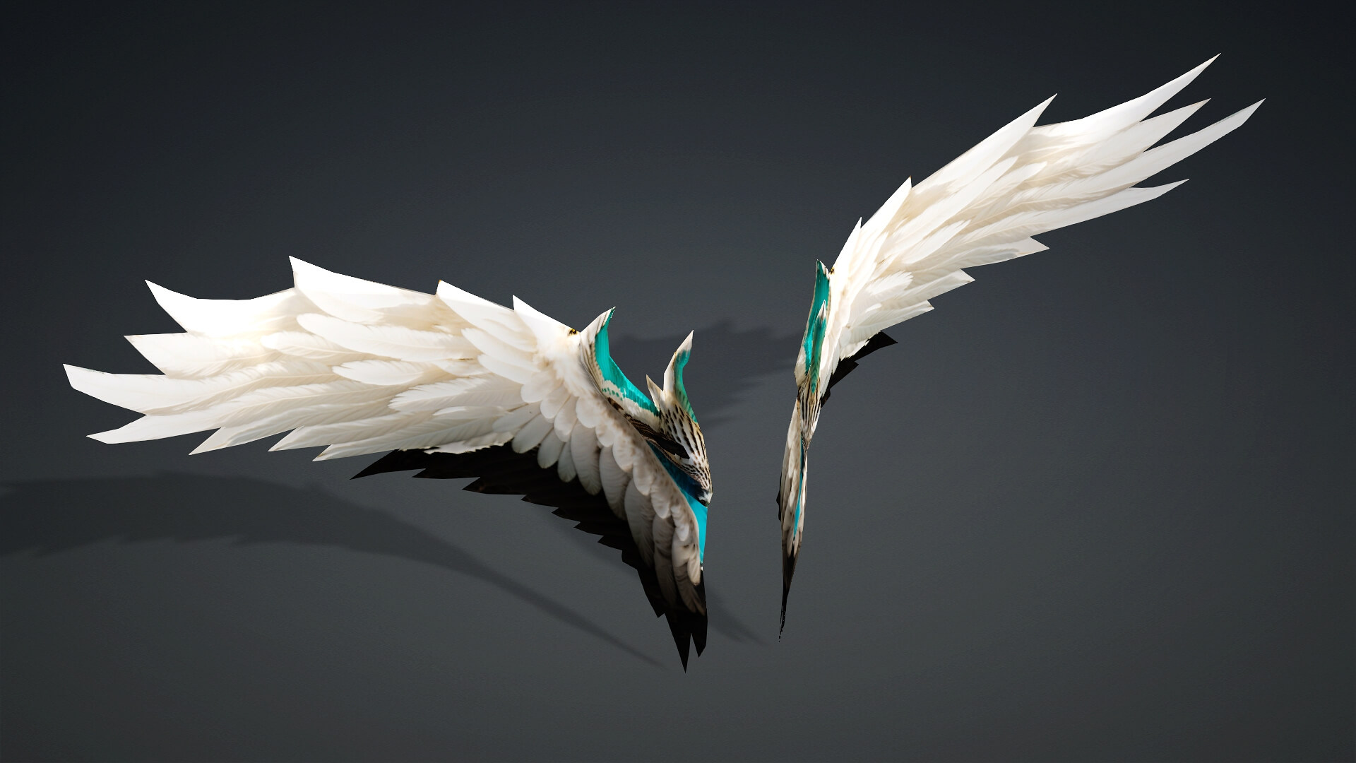 Wing-A12345-Animated 3D Model by Animated3d