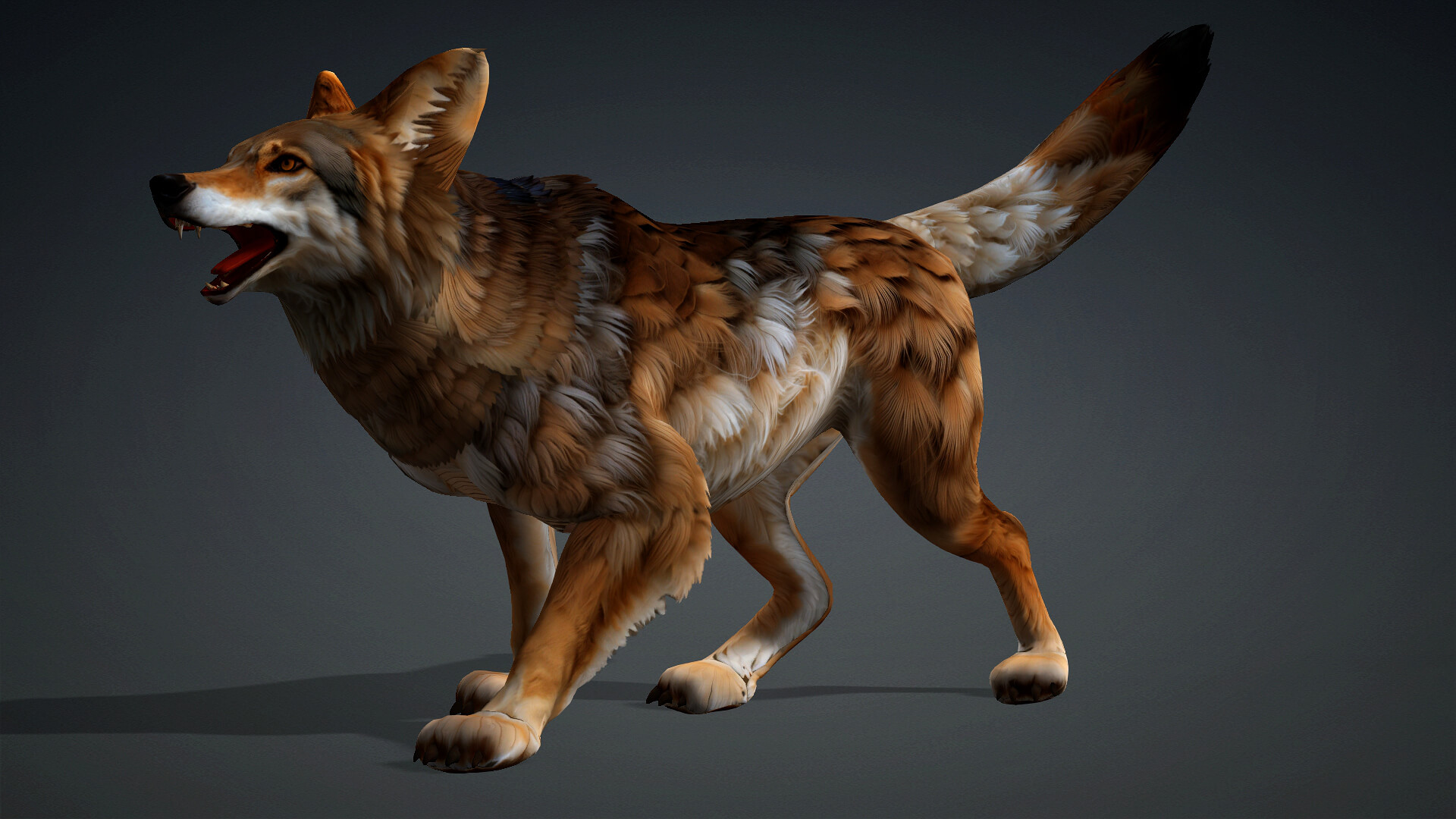 Wolf-A2-Animated 3D Animation by Animated3d