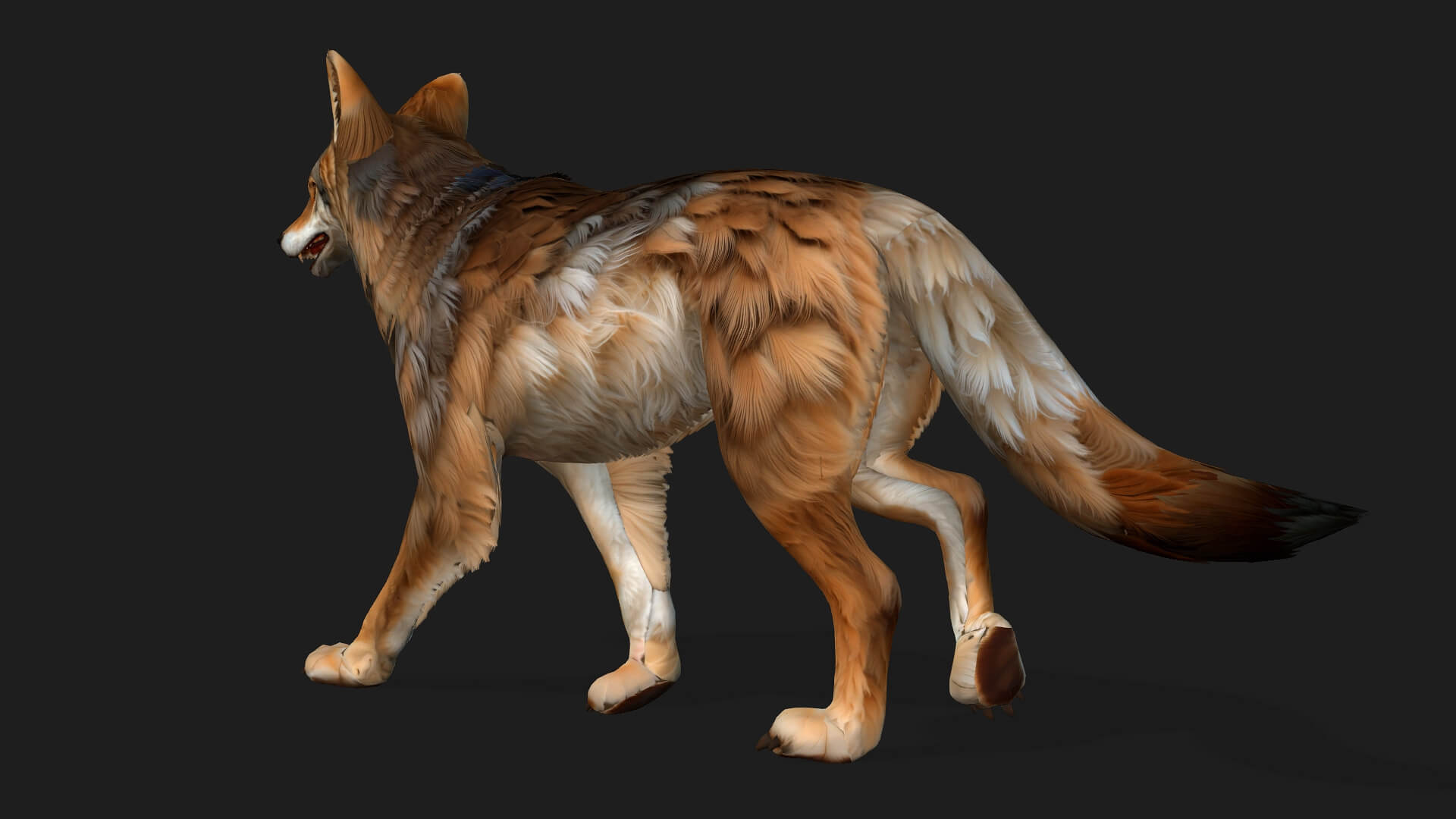 Wolf-A2-Animated 3D Animation by Animated3d